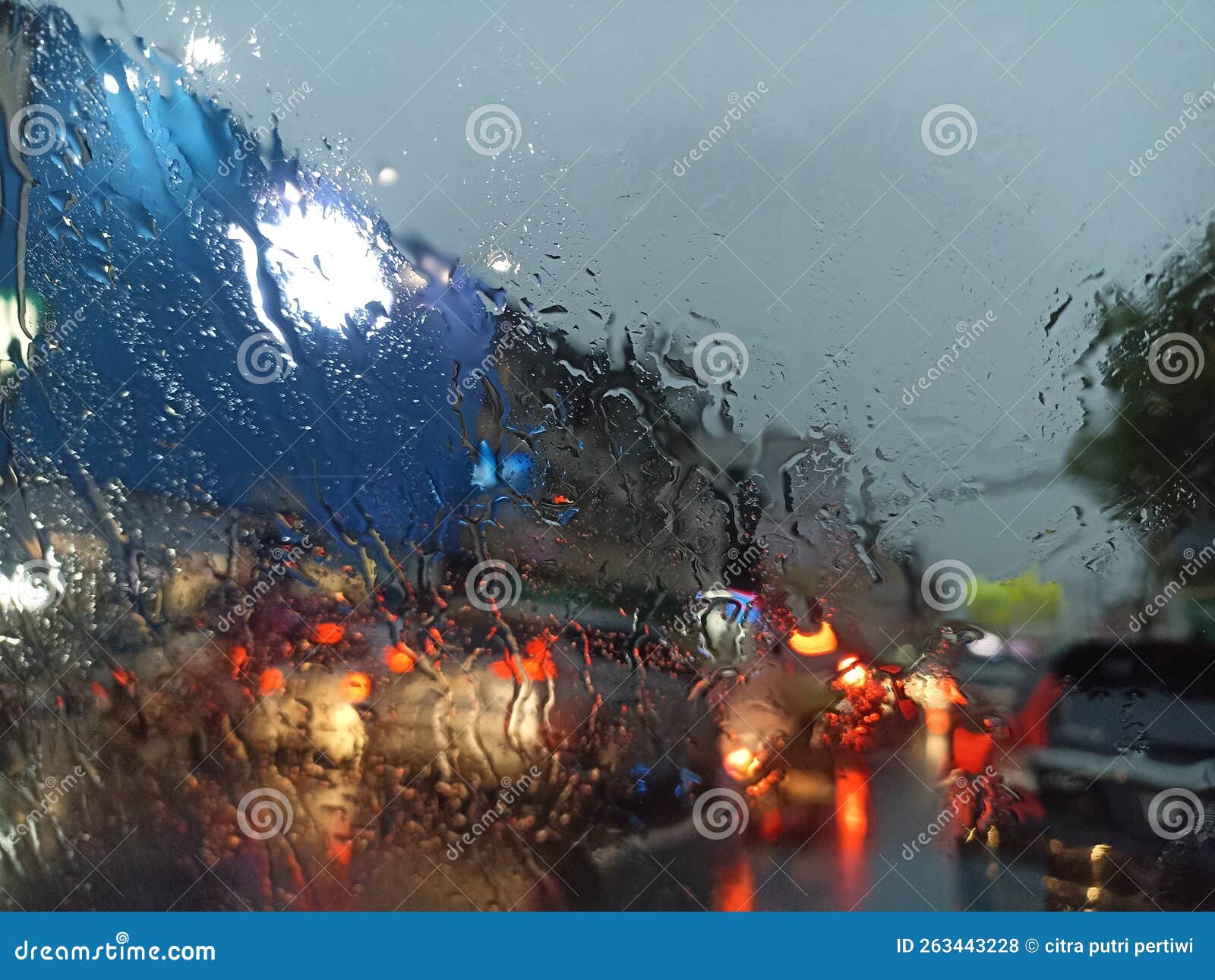 The rain stock photo. Image of rain, pouring, water - 263443228