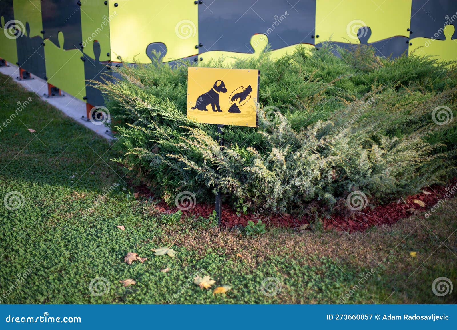 Dirty Back Glass on Car from Unclean Rain with Sand Stock Image - Image ...