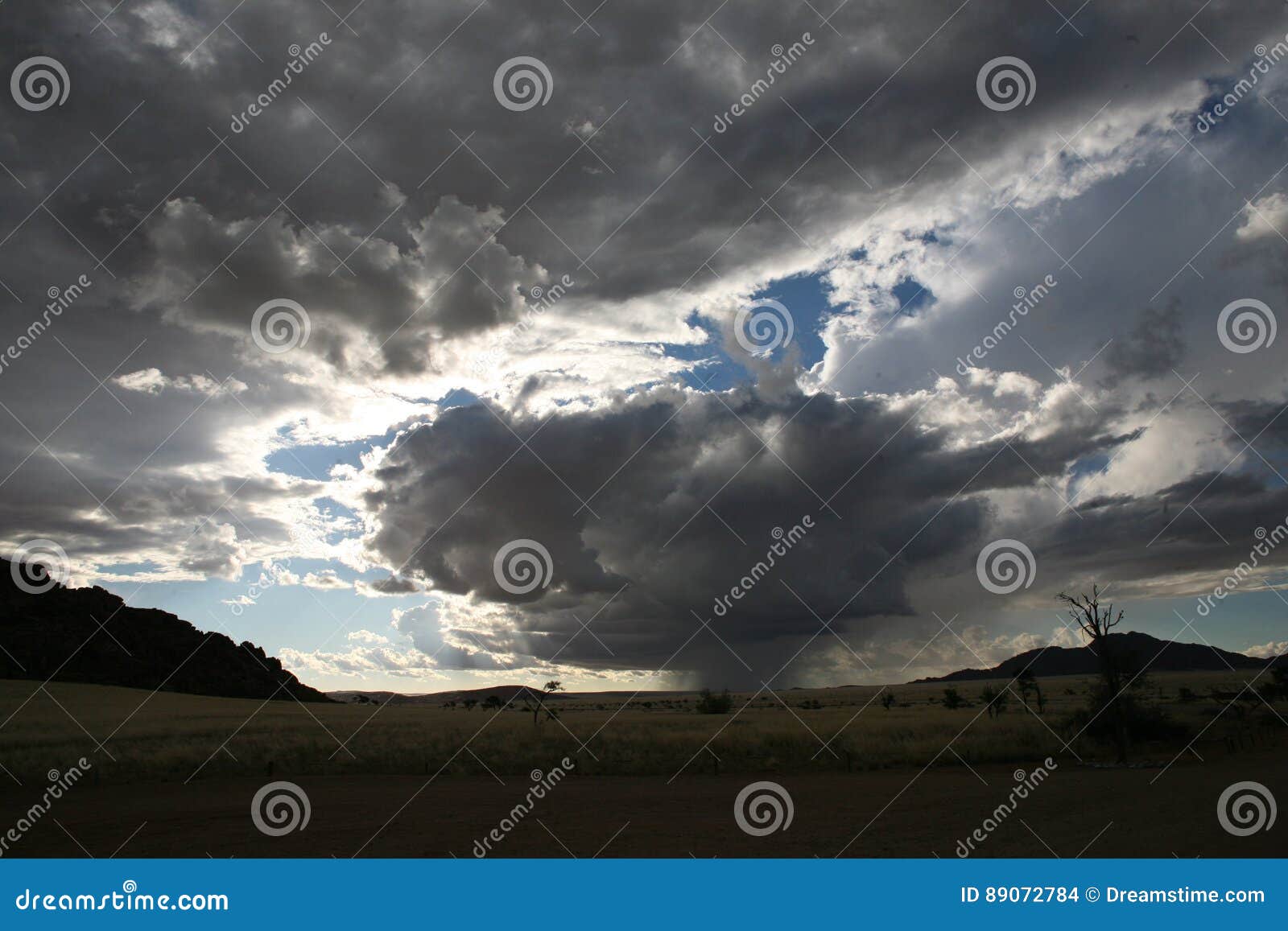Rain on the savannah stock photo. Image of interrupt - 89072784