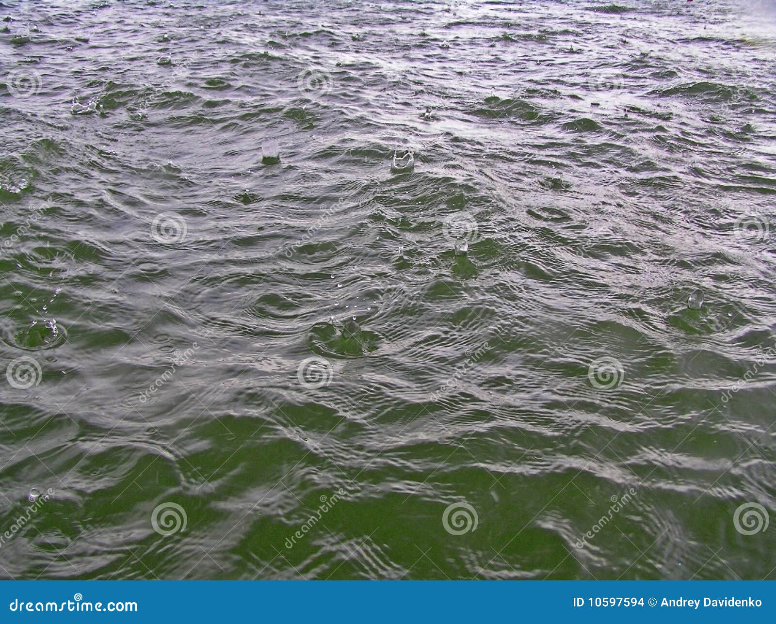 Rain on the sea stock photo. Image of falling, interference - 10597594