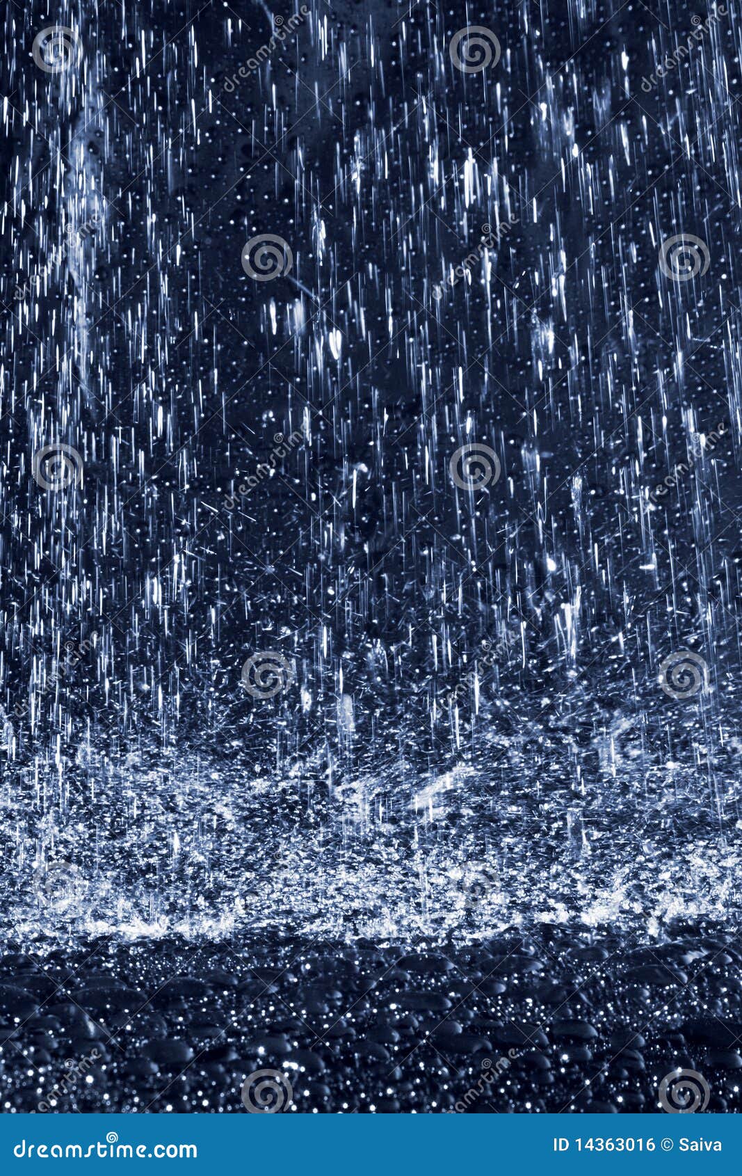Rain Splash