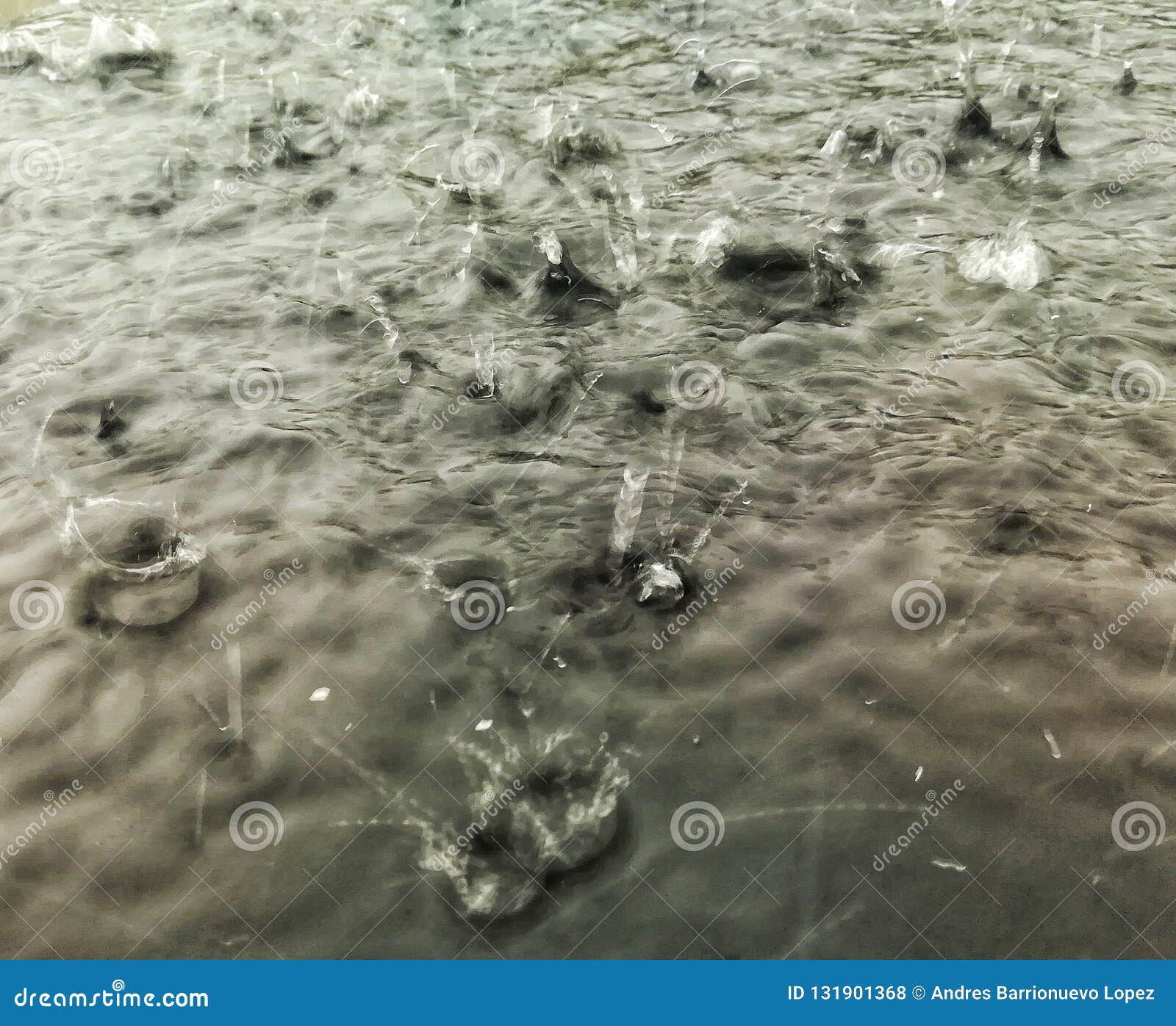 Rain splashing stock photo. Image of heavy, puddle, water - 131901368