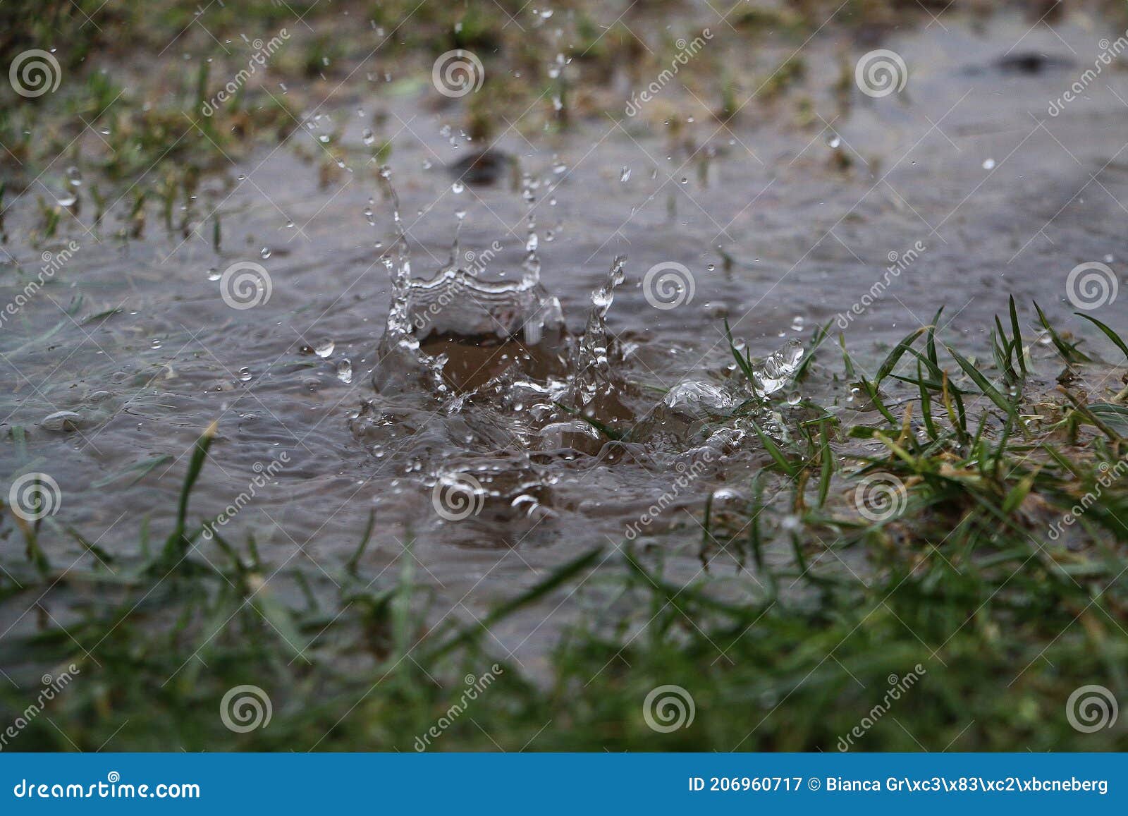 Hard Rain is Splashing in a Puddle on the Street Stock Image - Image of ...