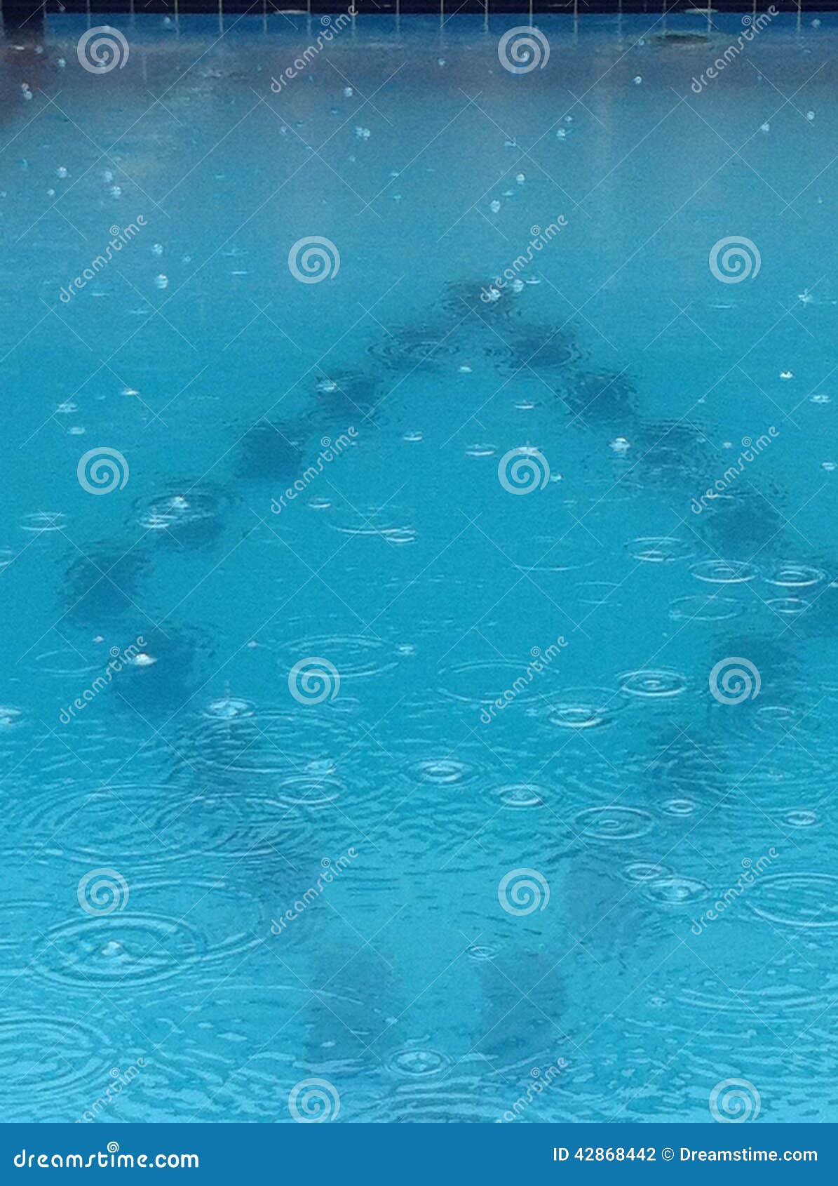 Rain stock photo. Image of pool, swimming, spray, rain - 42868442