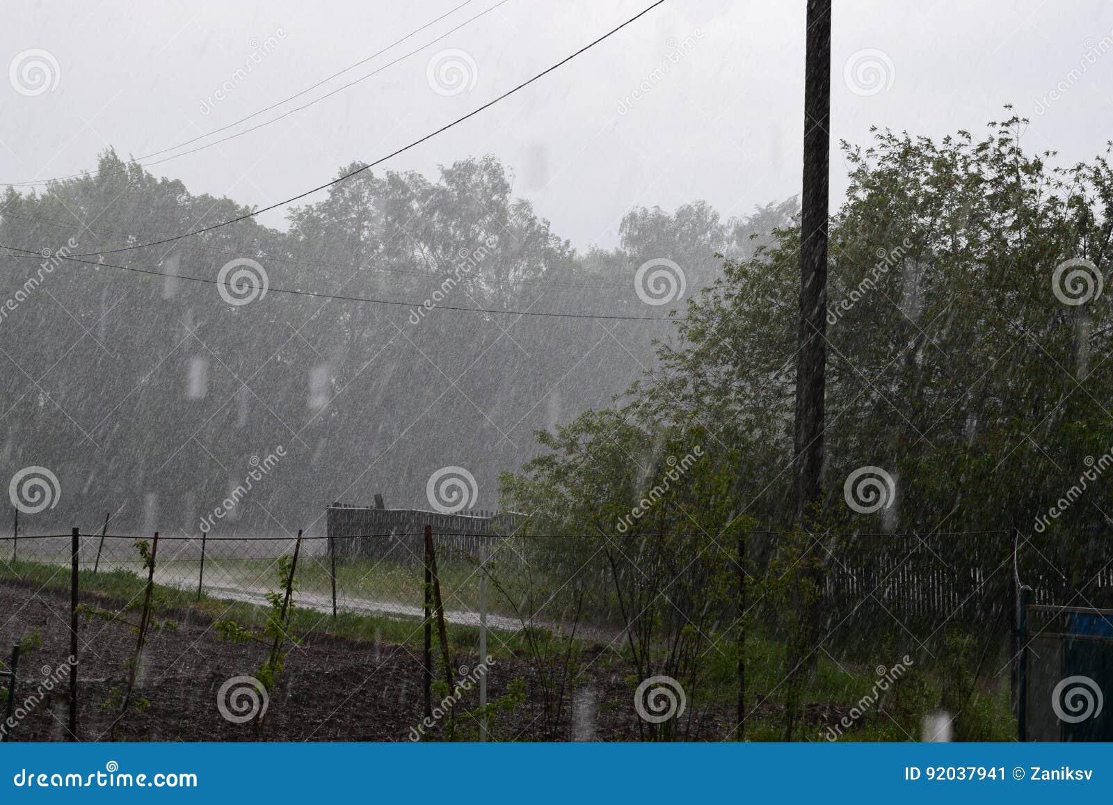 Rain and storm stock image. Image of nature, spring, garden - 92037941