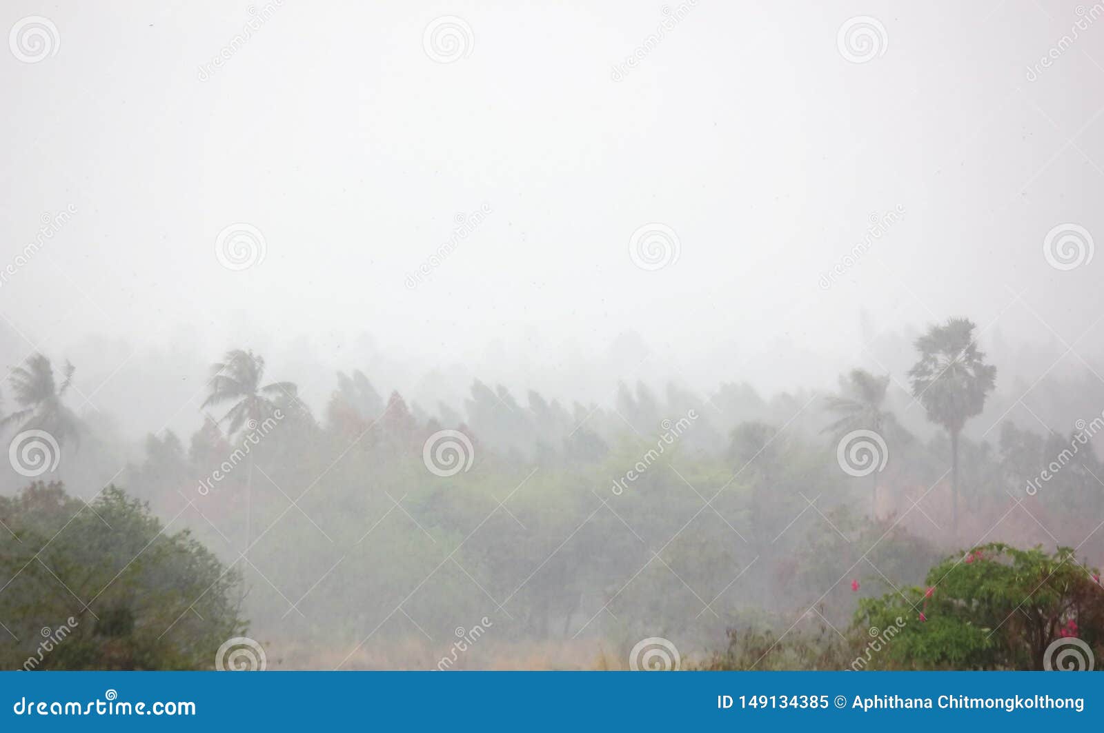 Rain Storm with Gray Sky Background. Rain Storms are Blowing through ...
