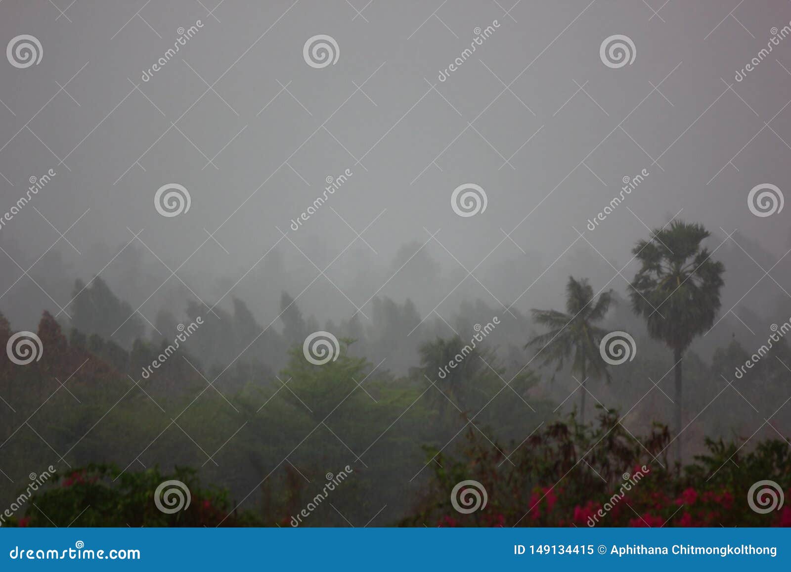 Rain Storm with Gray Sky Background. Rain Storms are Blowing through ...