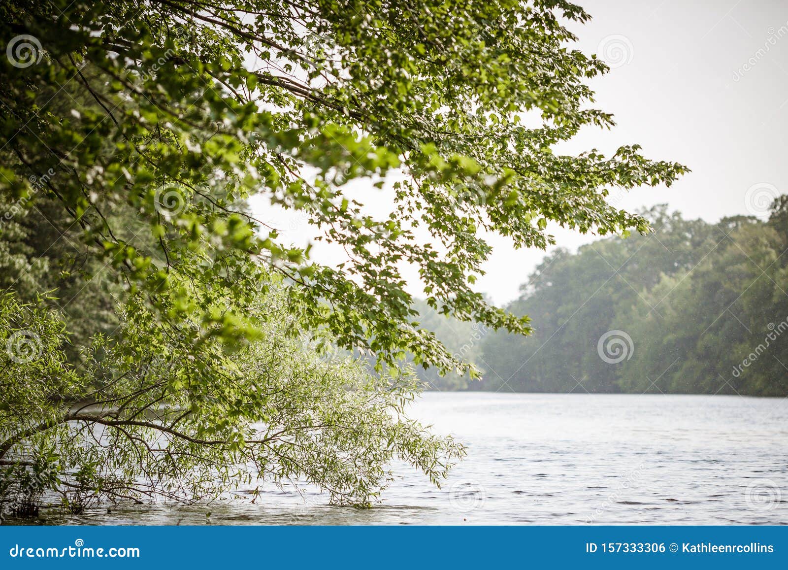 Summer Rain Storm Tree by River Stock Photo - Image of jersey, emptly ...