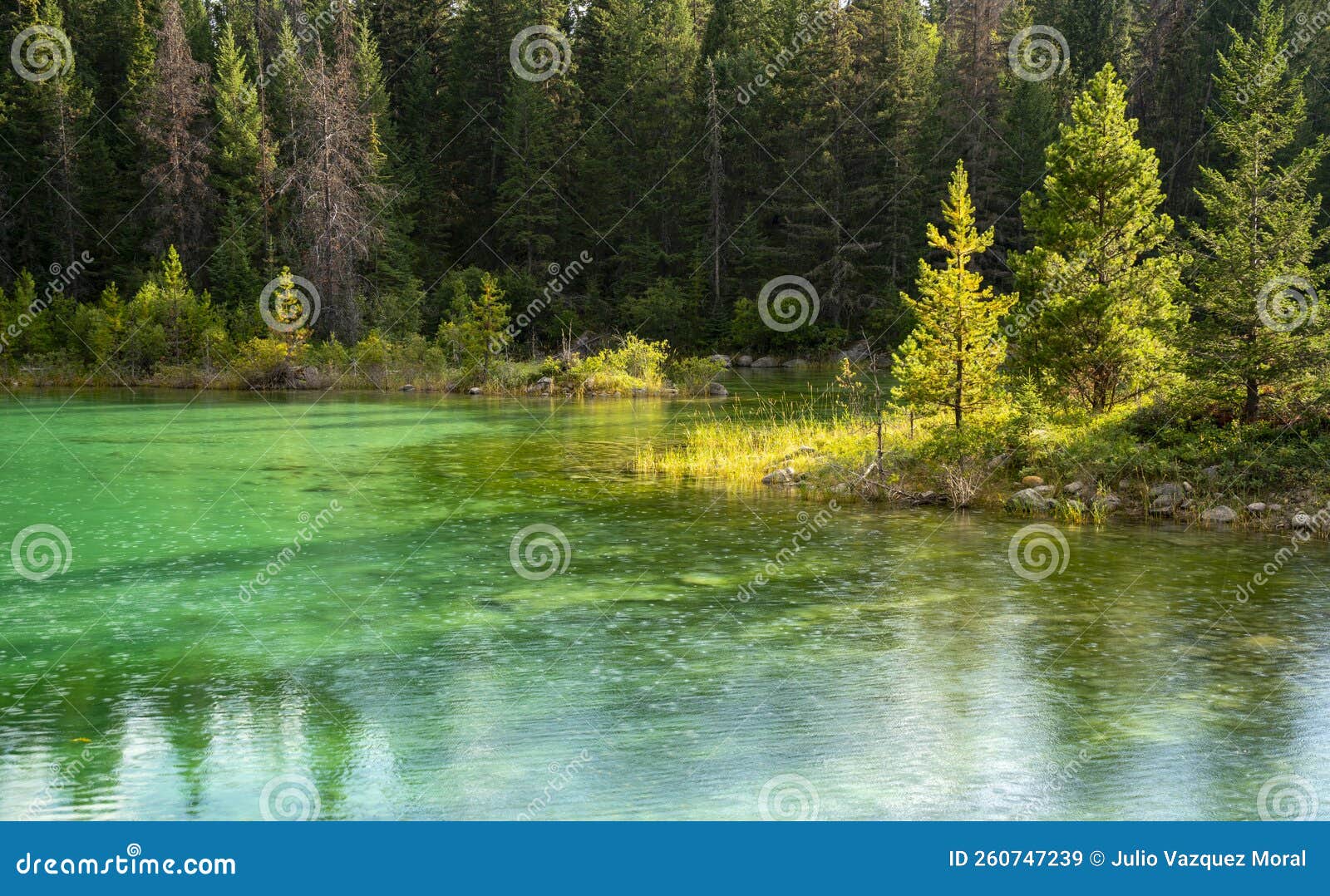 Rain and Sun in Lake in Forest at Sunset. Stock Image - Image of ...