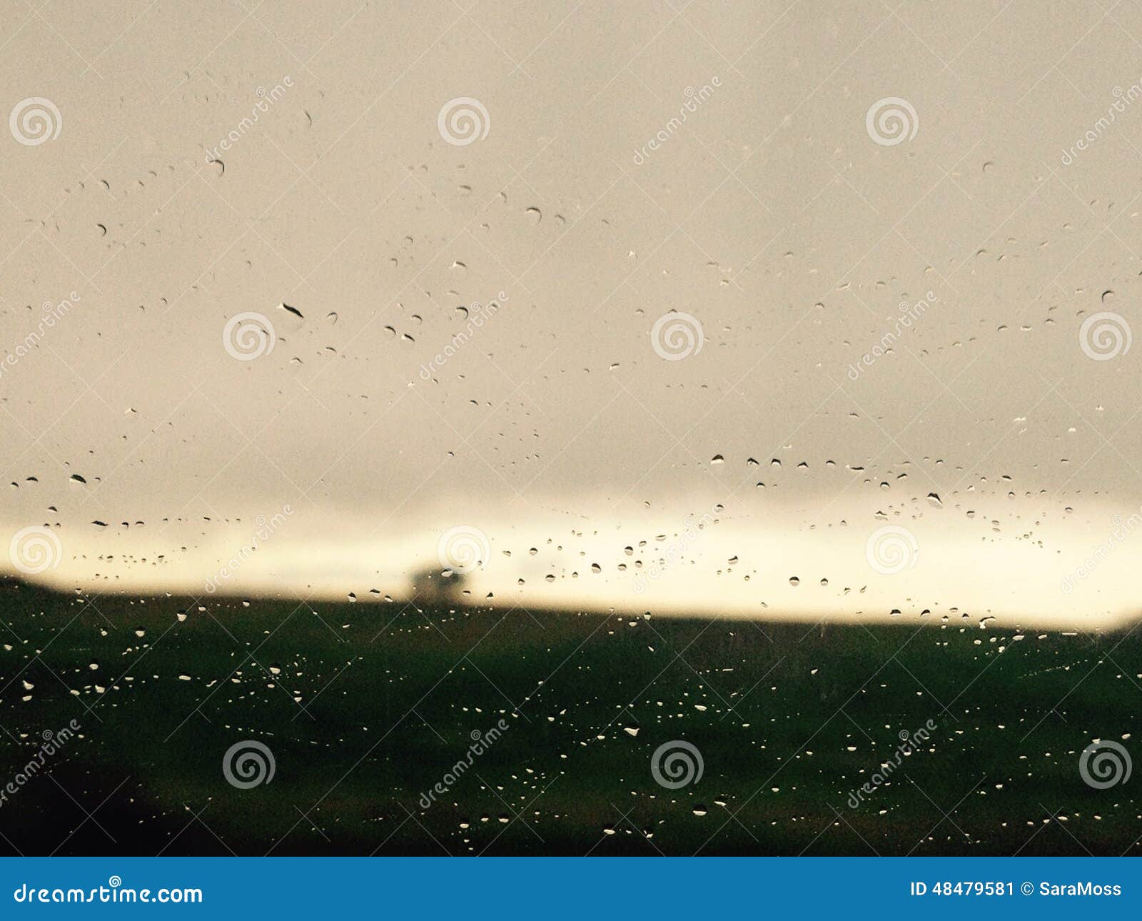 Rain in the sun editorial photo. Image of rainy, rain - 48479581