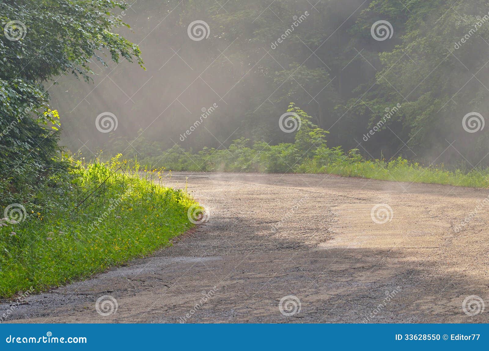 Axial road after rain stock photo. Image of rays, nature - 33628550