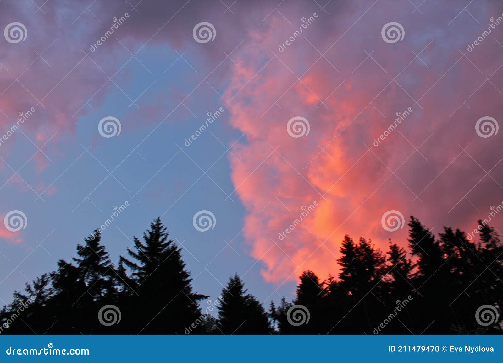 Before rain and sunset sky stock photo. Image of forest - 211479470