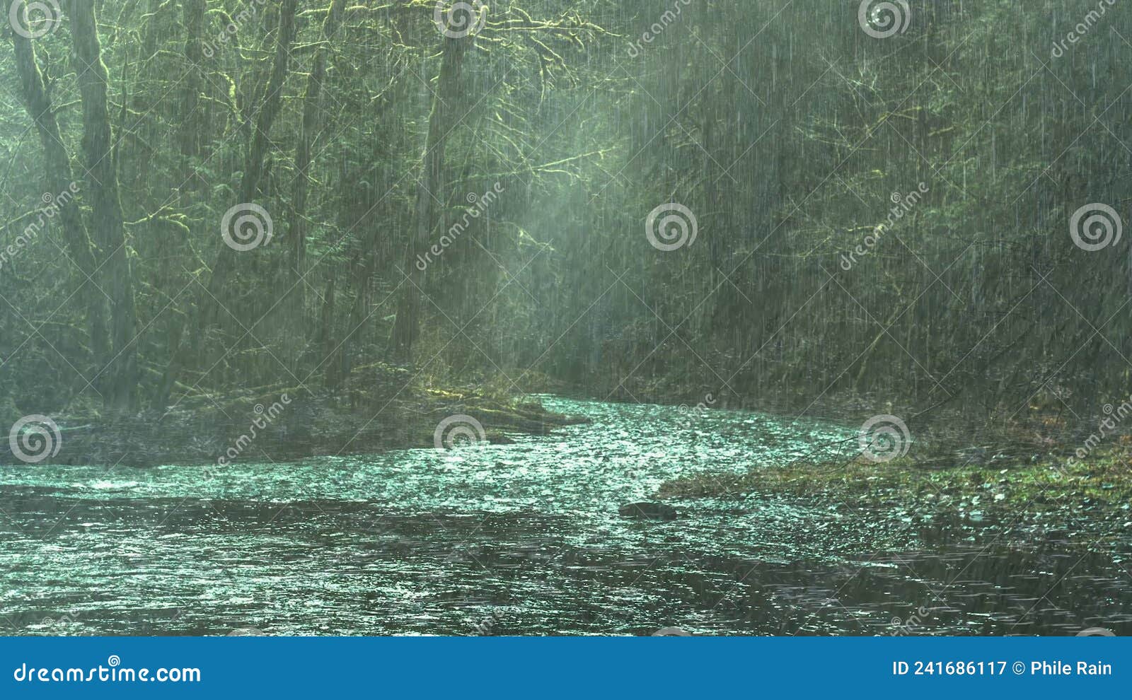 The Rain in the Swamp Rainforest in the Desolate Forest Stock Image ...