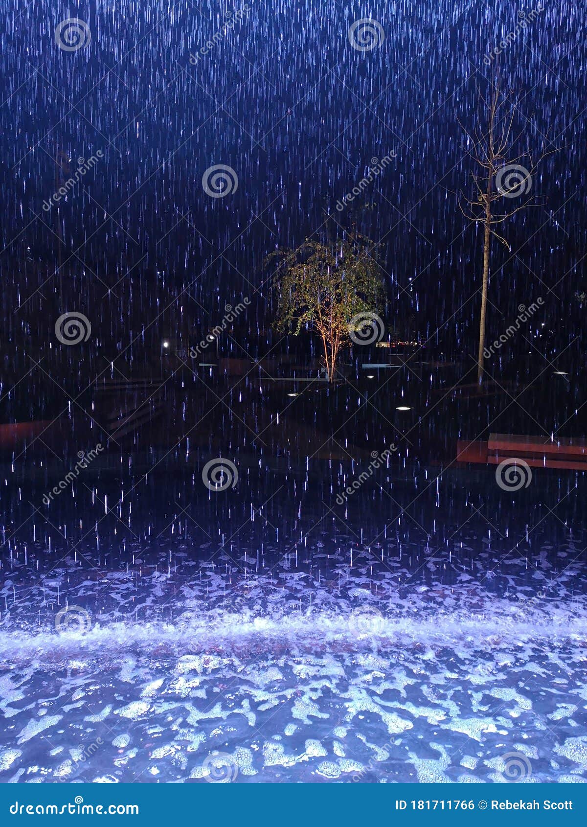 Rain System with Tree Background Natural Rain Simulator Water Stock ...