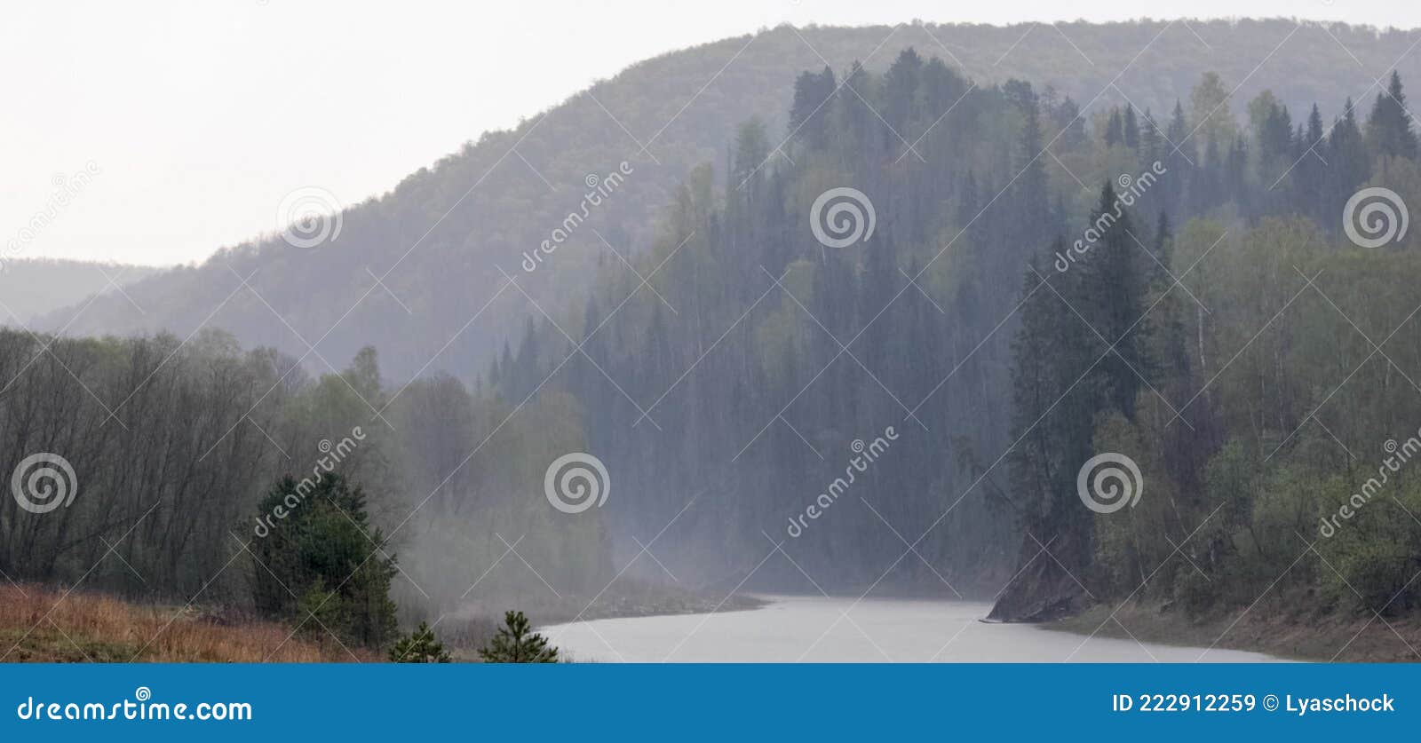 Rain in the Taiga Over the River. Cloudy Weather in Forest. Stock Image ...