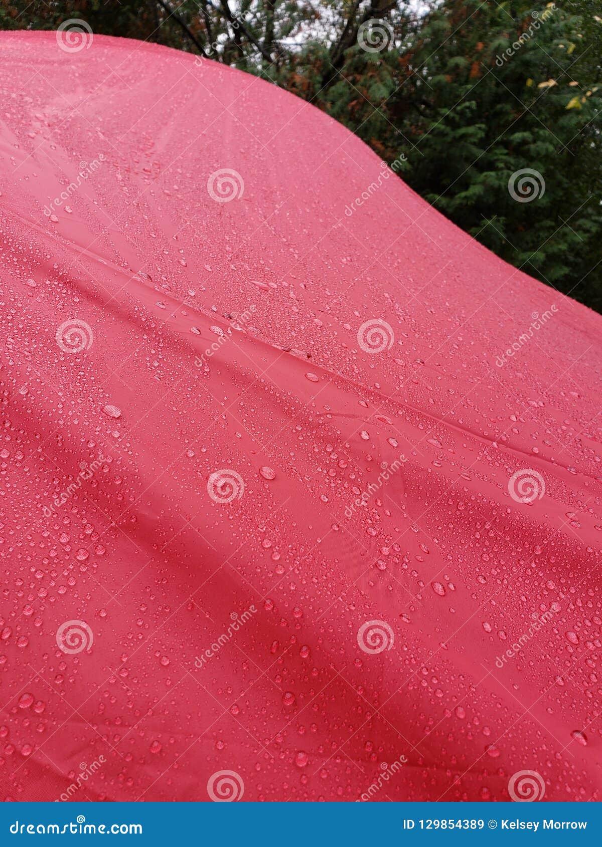 Rain on a tent stock image. Image of morning, tent, running - 129854389
