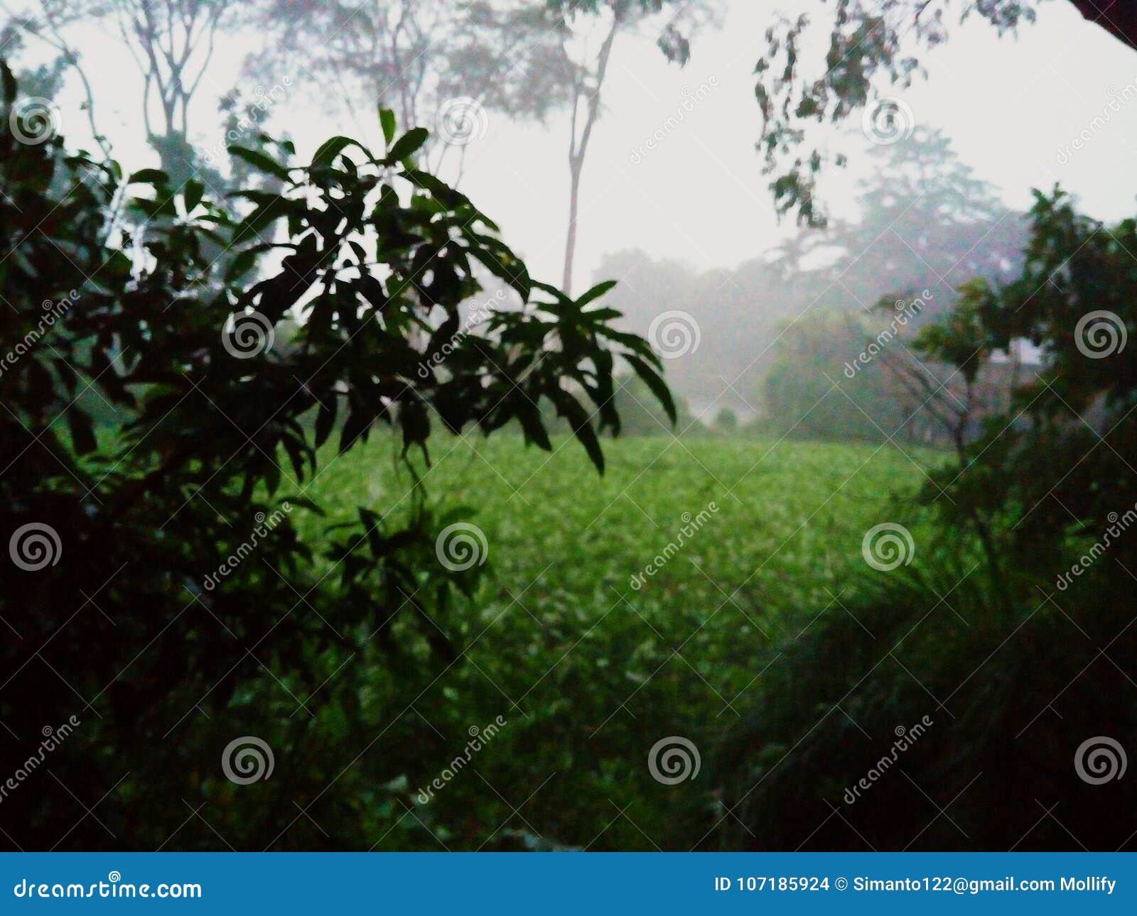 Rain time stock photo. Image of rain, nice, time - 107185924