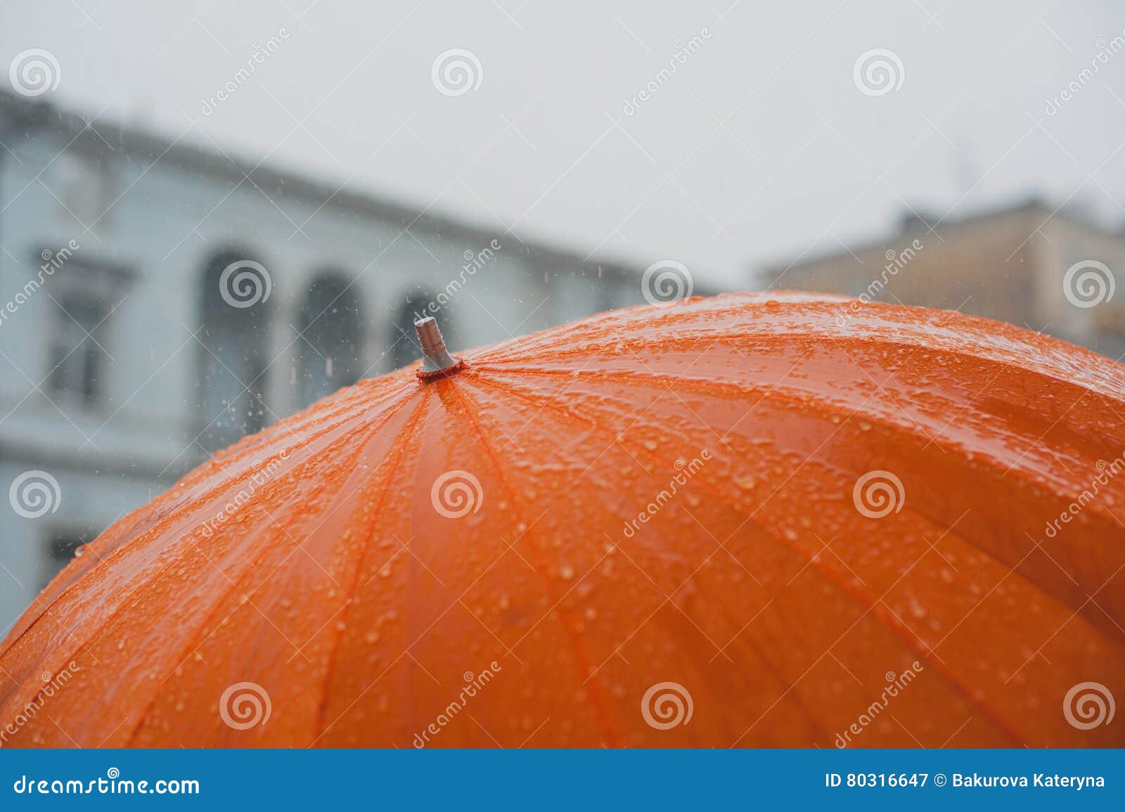 Rain on umbrella stock image. Image of pumpkin, season - 80316647
