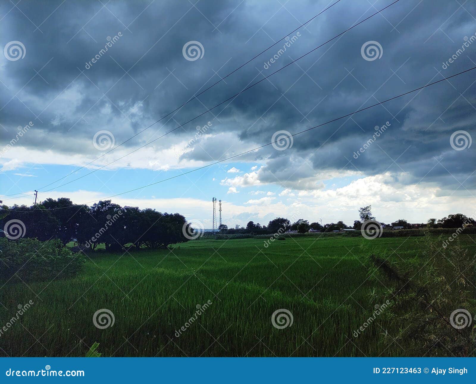 After Rain View stock image. Image of rain, view, nature - 227123463