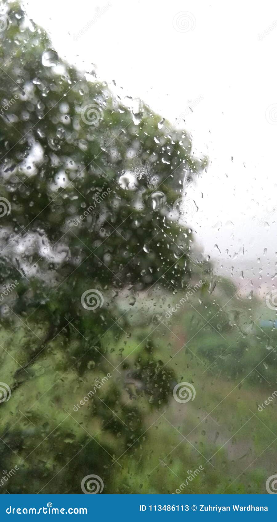 Rain stock image. Image of season, raindrop, waiting - 113486113