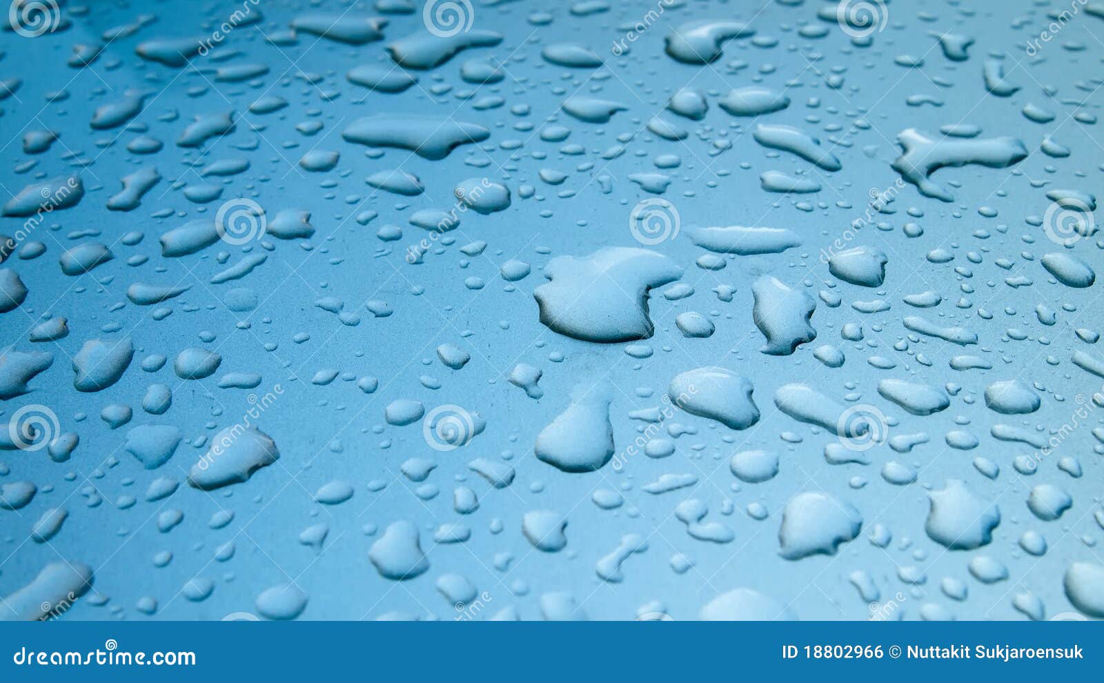 3,554 Drop Rainwater Stock Photos - Free & Royalty-Free Stock Photos ...