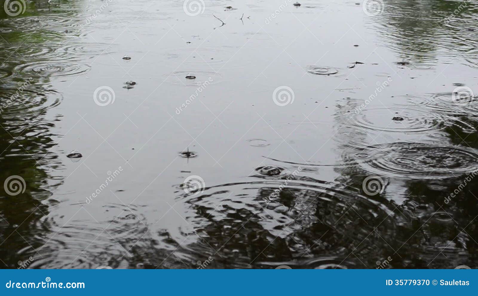 Rain water drop bubble stock video footage. Video of natural - 35779370