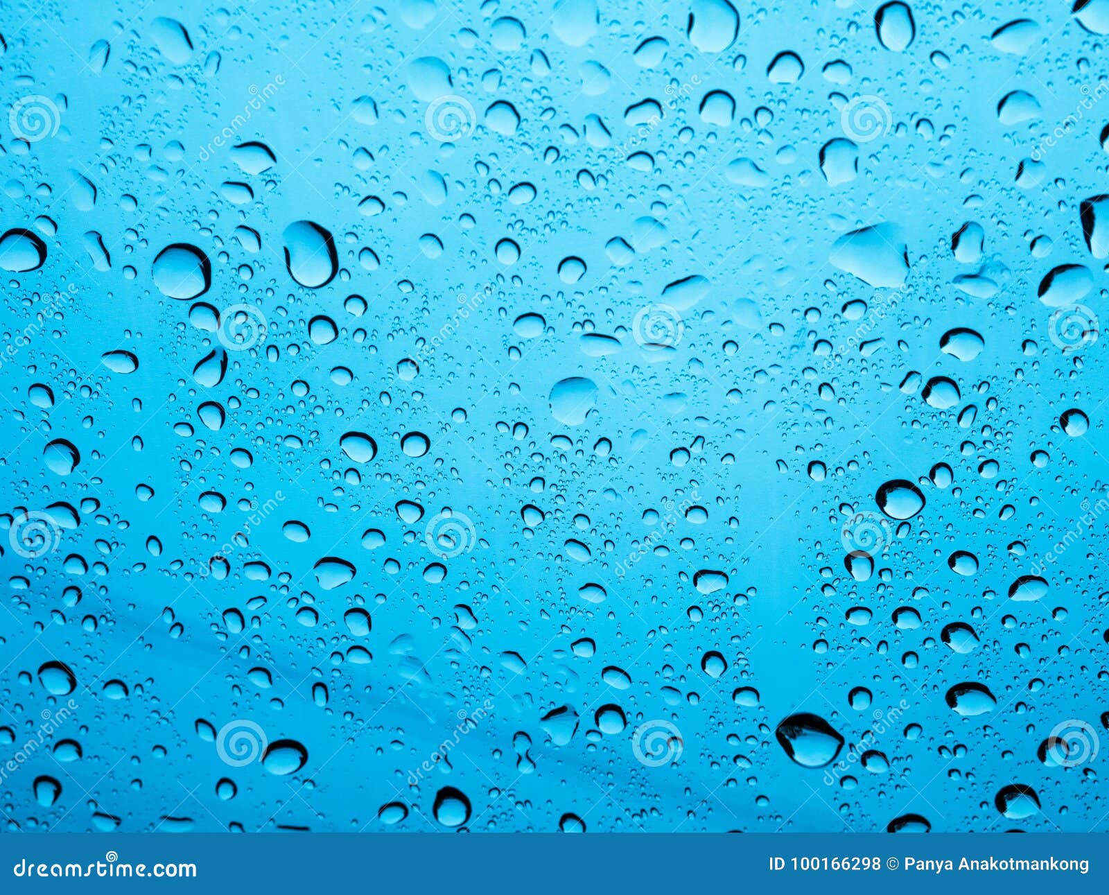 Rain water Drops. stock photo. Image of drink, drop - 100166298
