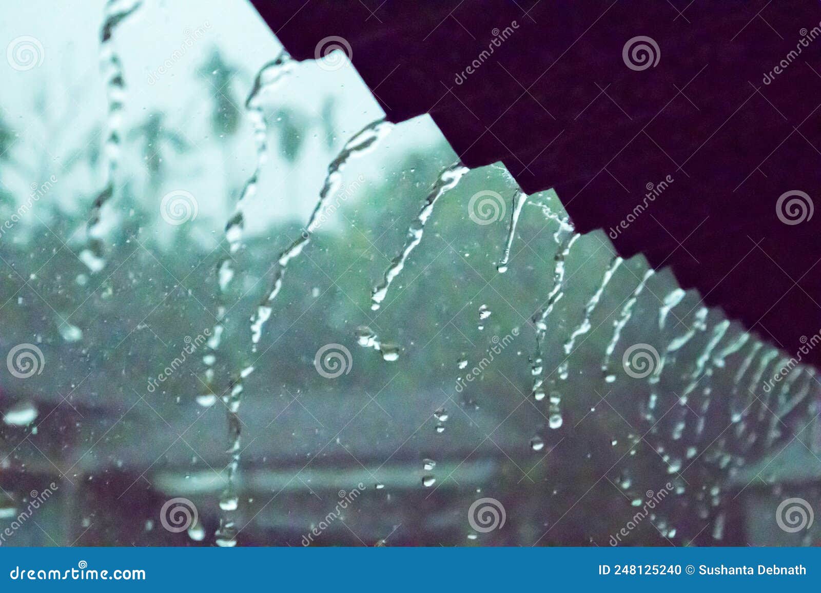 Rain Water Falling by the GI Sheet Stock Photo - Image of leaf ...