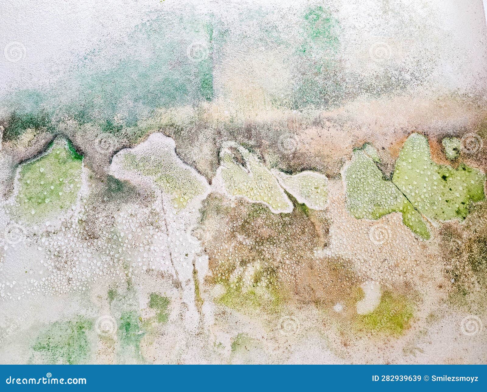 A Patch Of Dispersed Fungal Algae Or Moss Grows On An Old Plaster ...