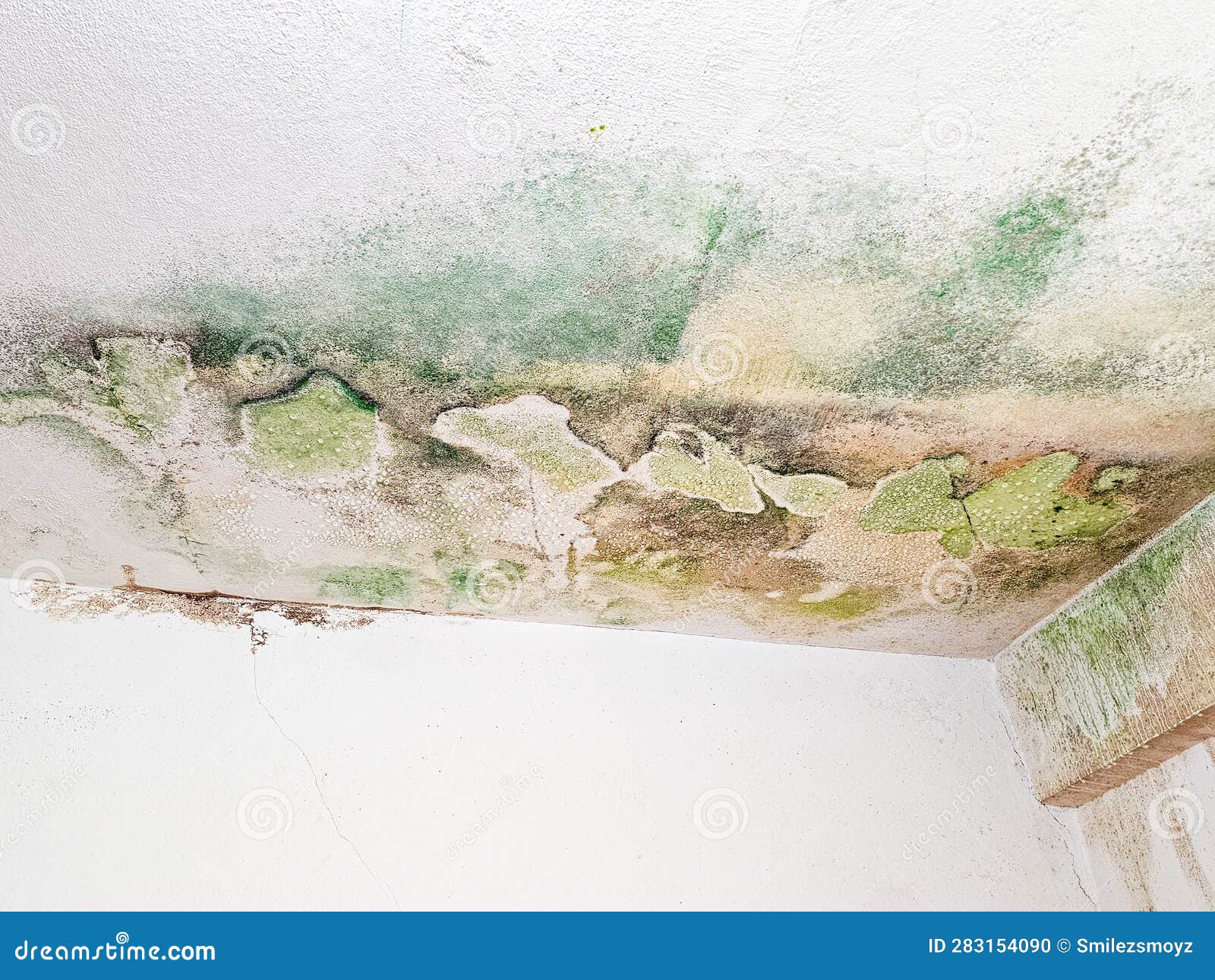 Rain Water Leaks on the Ceiling Causing Damage. Stock Photo - Image of ...