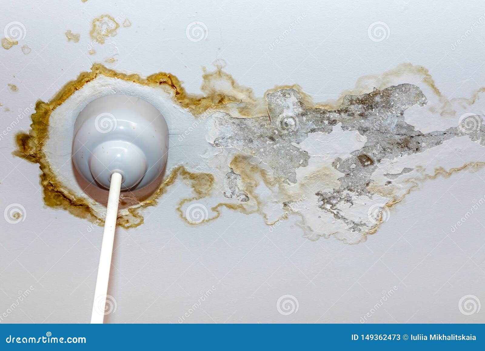 Rain Water Leaks on the Ceiling because of Damaged Roof Causing Decay ...