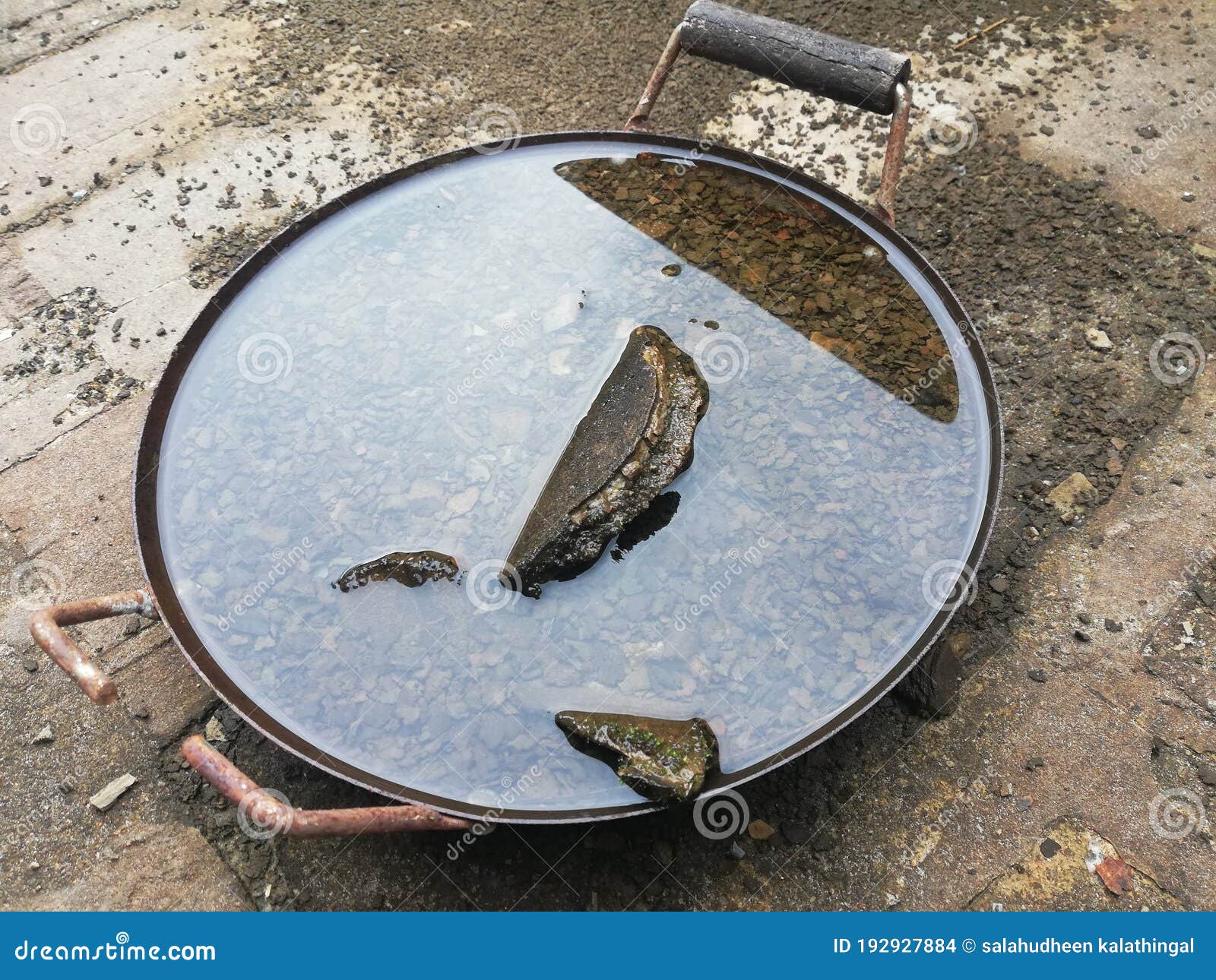 Rain water in a pot stock photo. Image of number, wood - 192927884