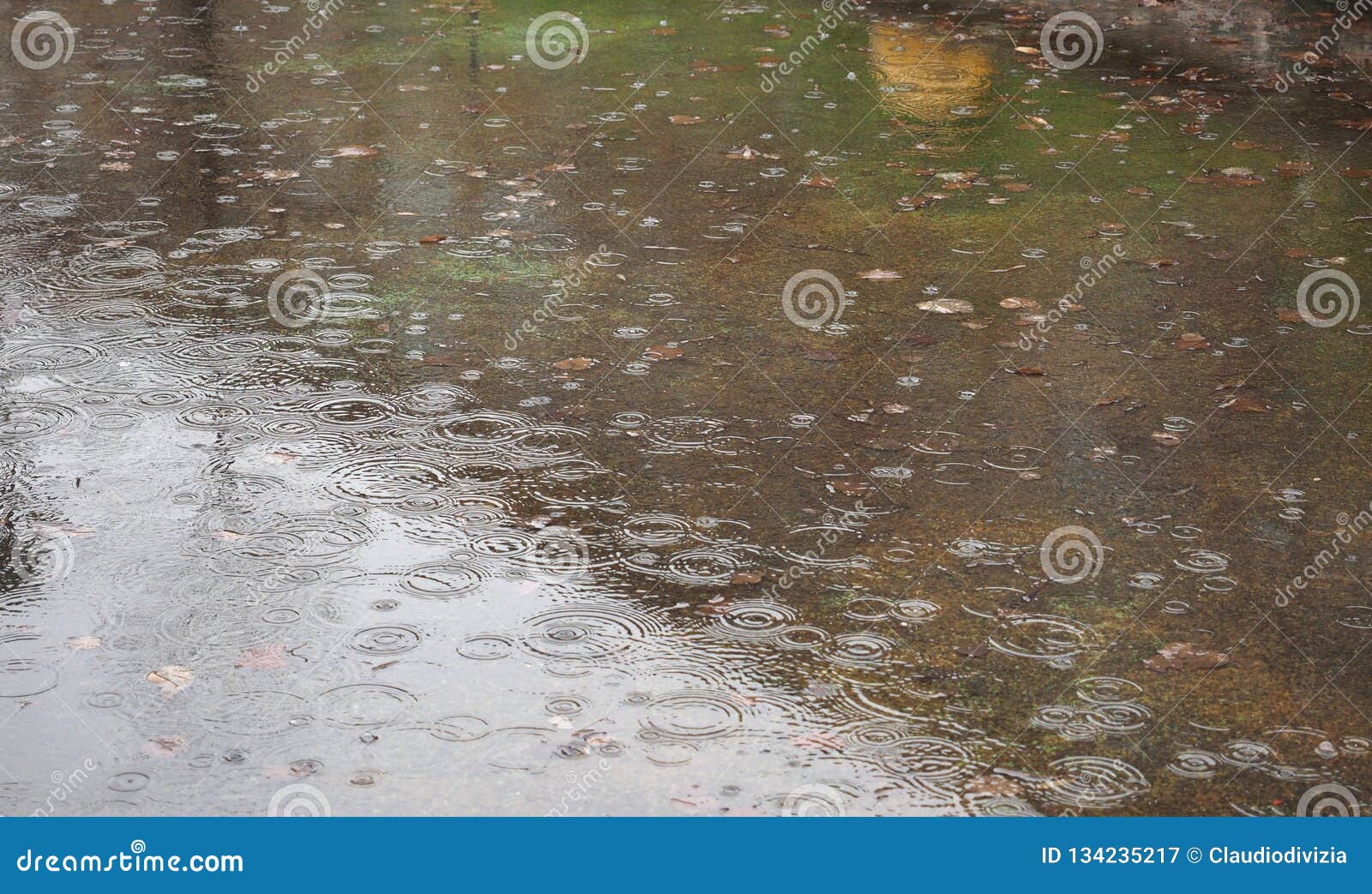 26,307 Water Puddle Background Photos - Free & Royalty-Free Stock ...
