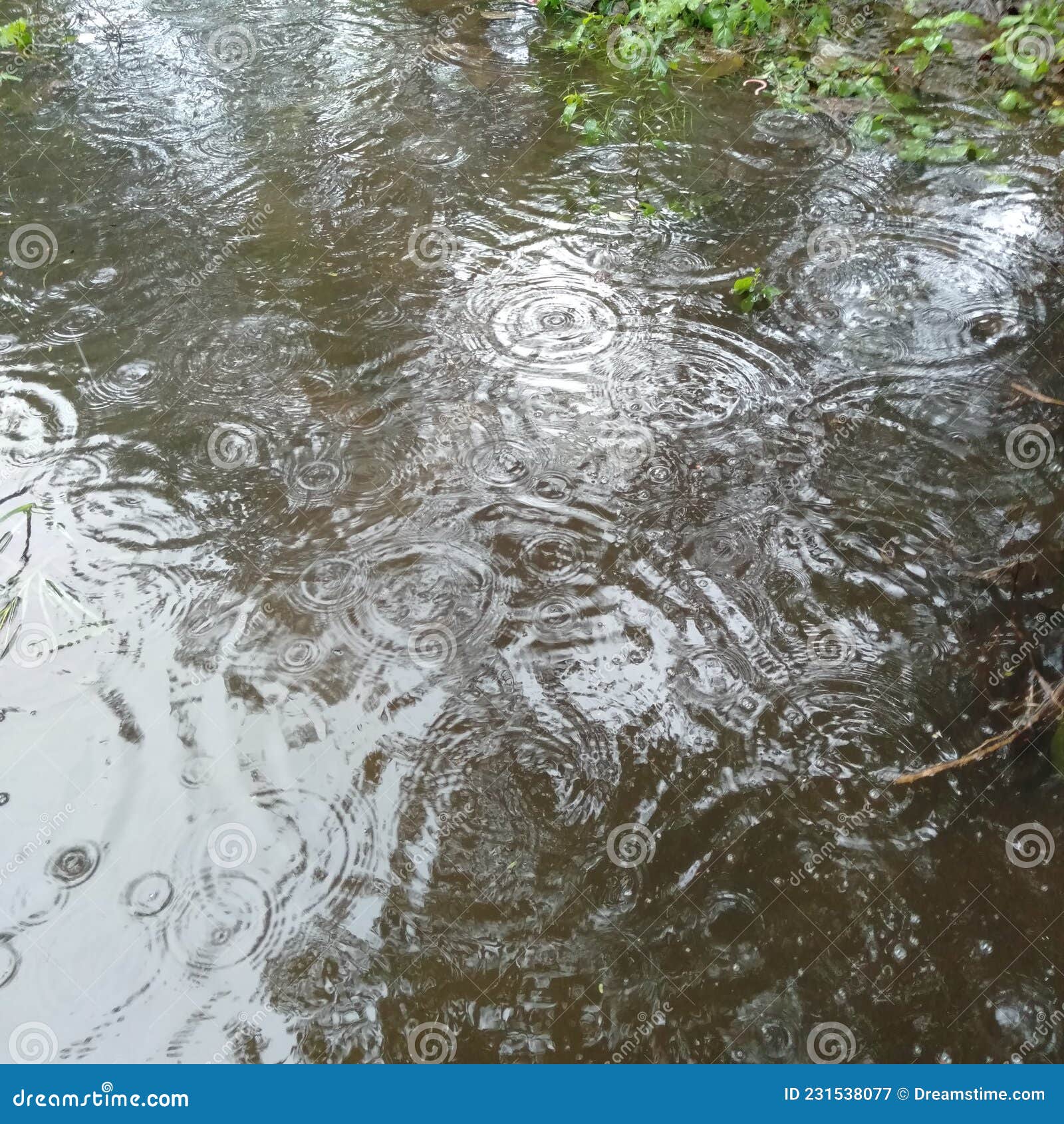 Rain water puddle stock image. Image of water, rapid - 231538077