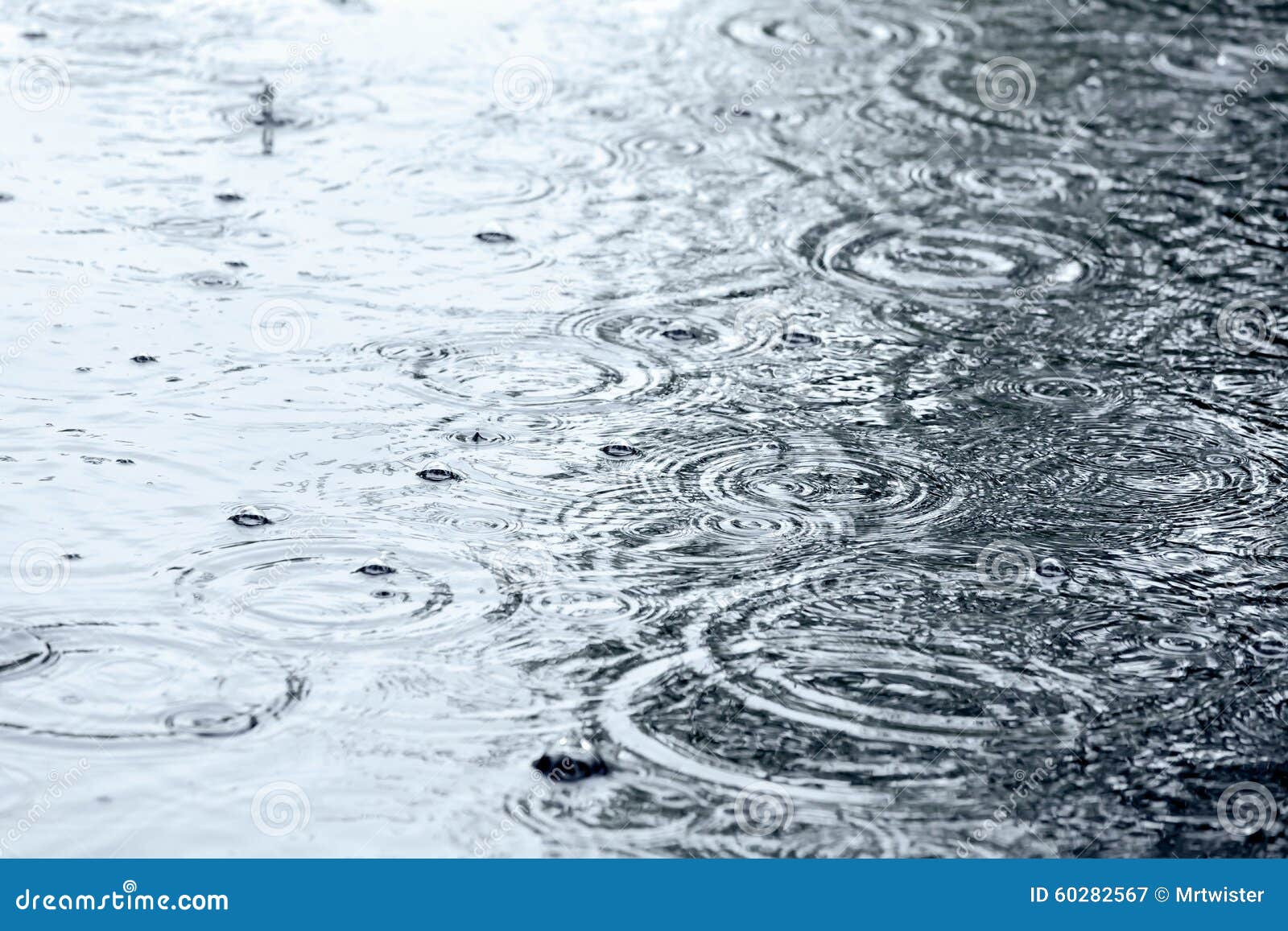 Rain and water ripples stock image. Image of flood, season - 60282567