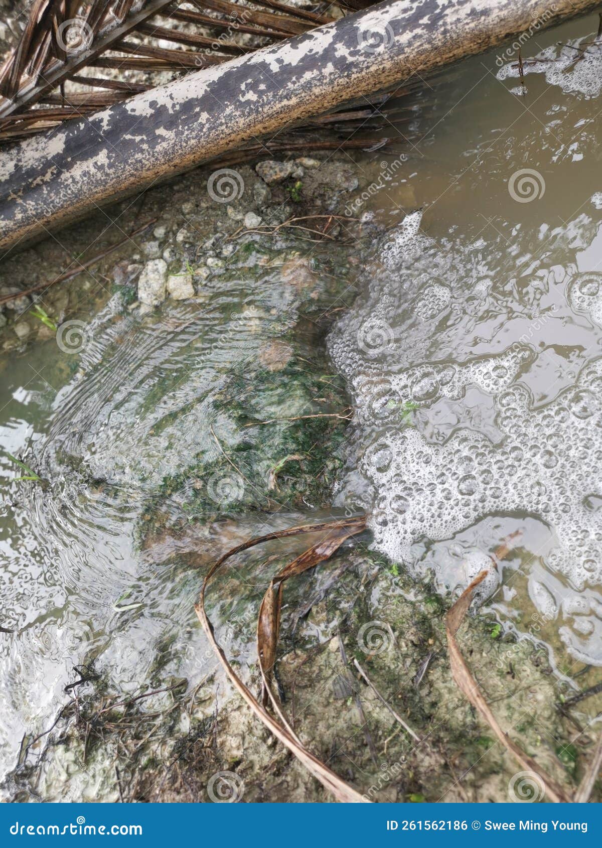 Rain Water Streaming Along the Drainage River. Stock Photo - Image of ...