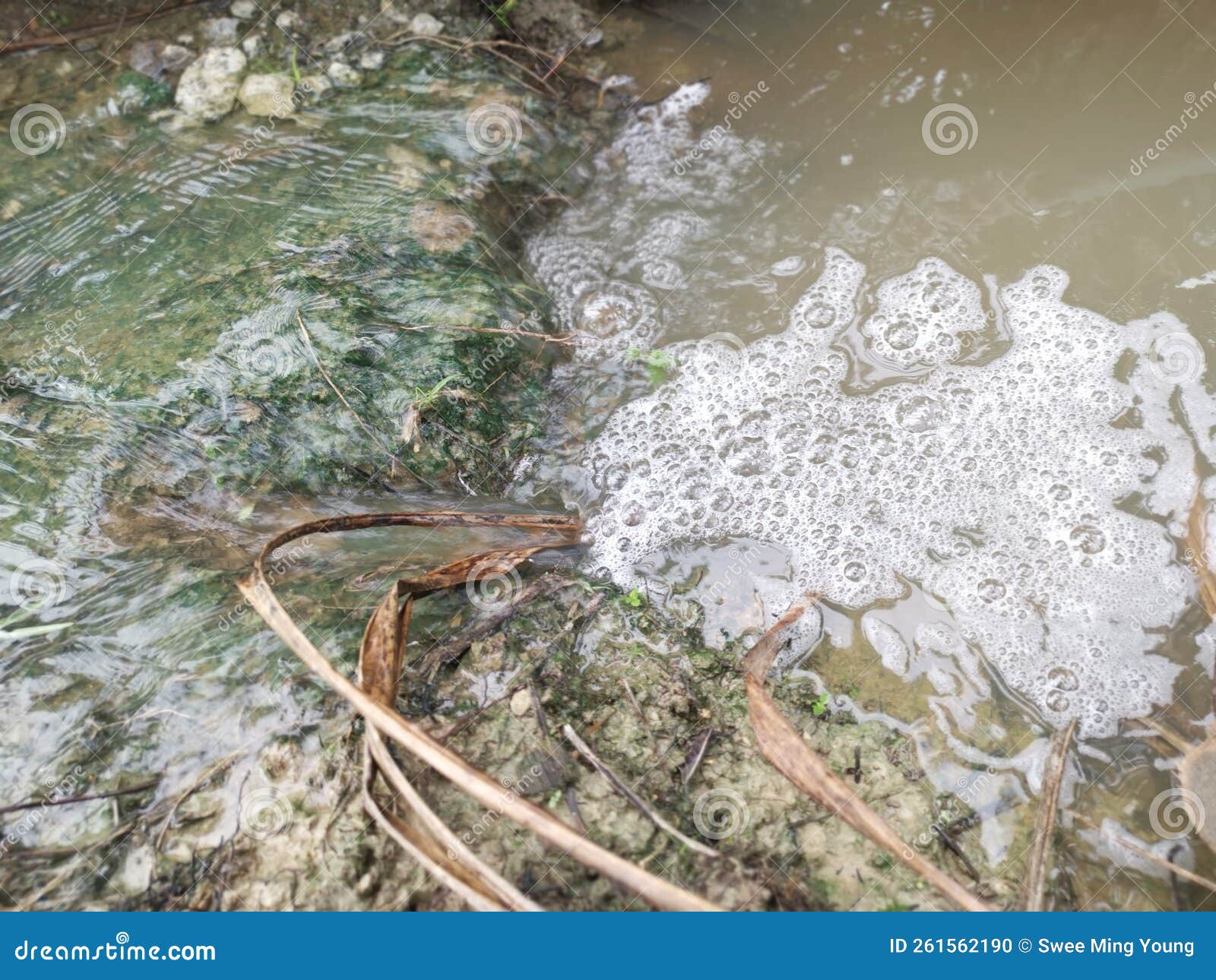 Rain Water Streaming Along the Drainage River. Stock Photo - Image of ...