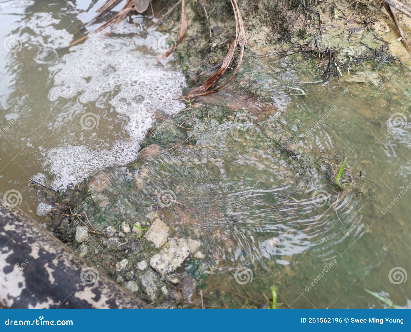 Rain Water Streaming Along the Drainage River. Stock Photo - Image of ...