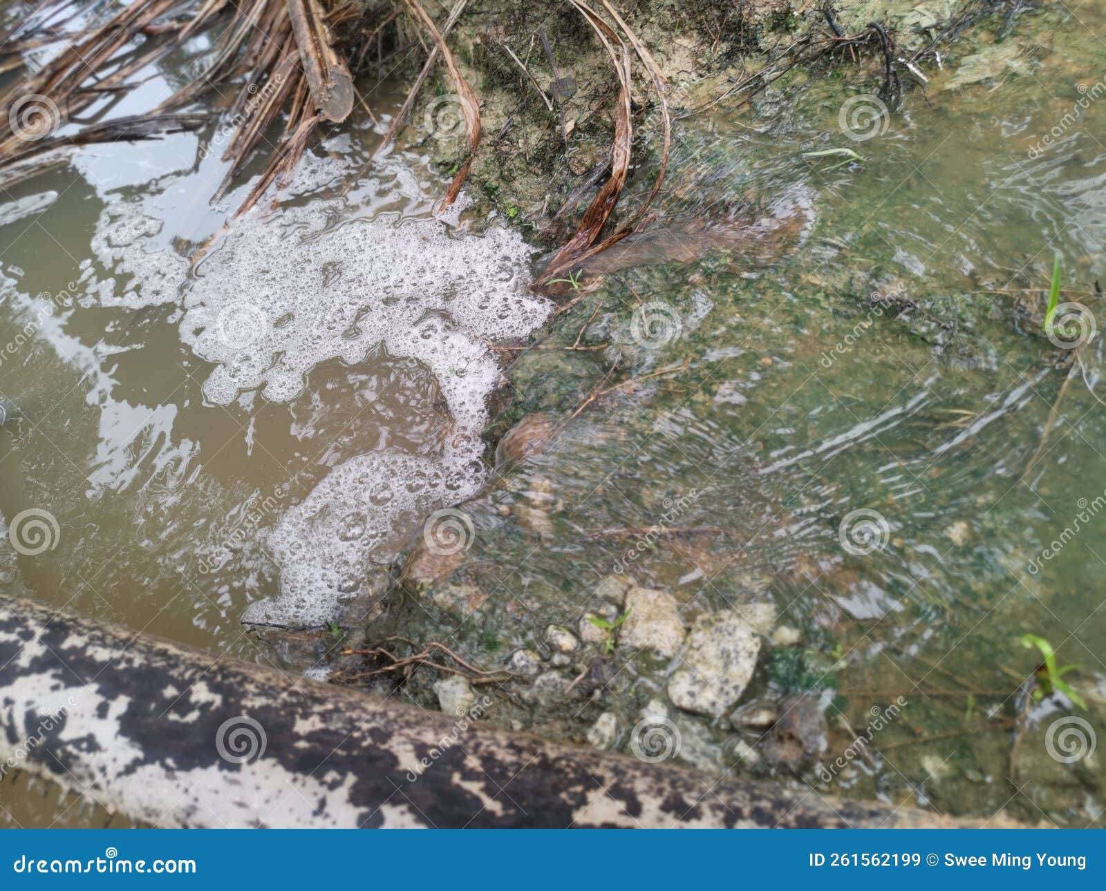 Rain Water Streaming Along the Drainage River. Stock Image - Image of ...