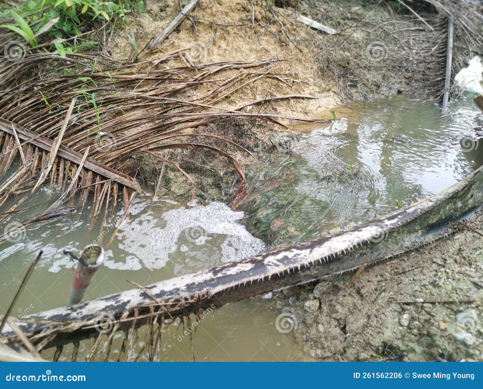 Rain Water Streaming Along the Drainage River. Stock Photo - Image of ...