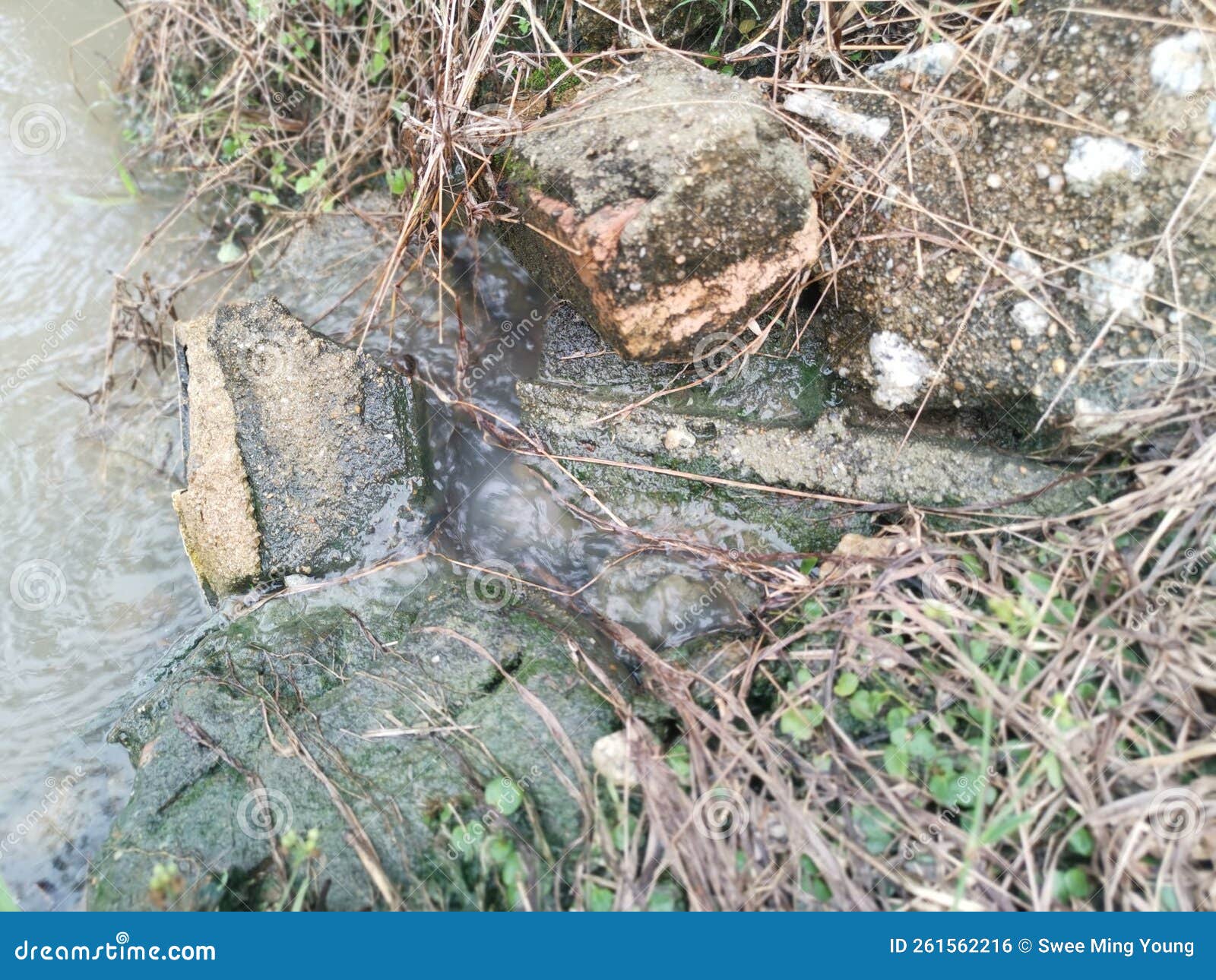 Rain Water Streaming Along the Drainage River. Stock Photo - Image of ...
