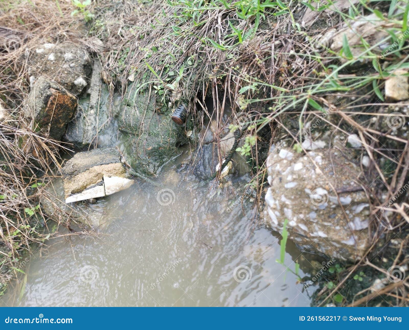 Rain Water Streaming Along the Drainage River. Stock Image - Image of ...