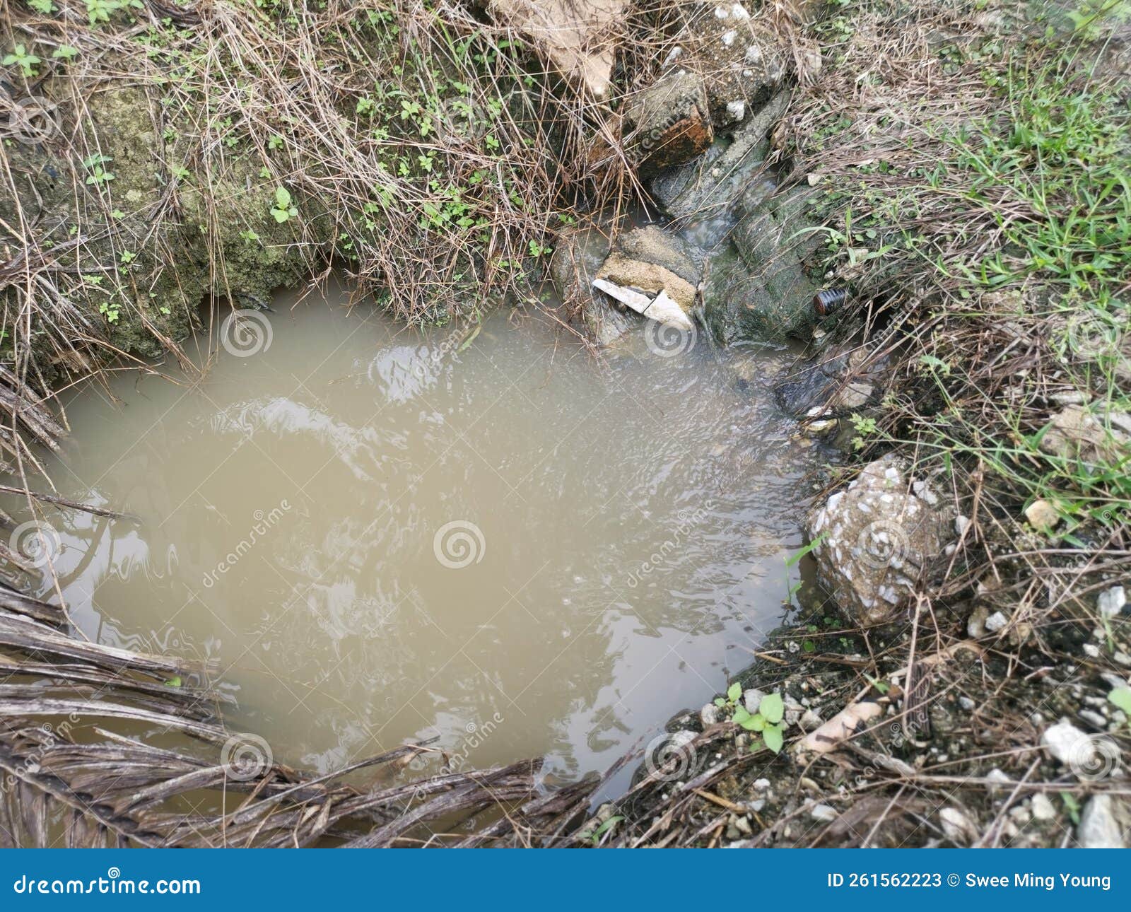 Rain Water Streaming Along the Drainage River. Stock Image - Image of ...