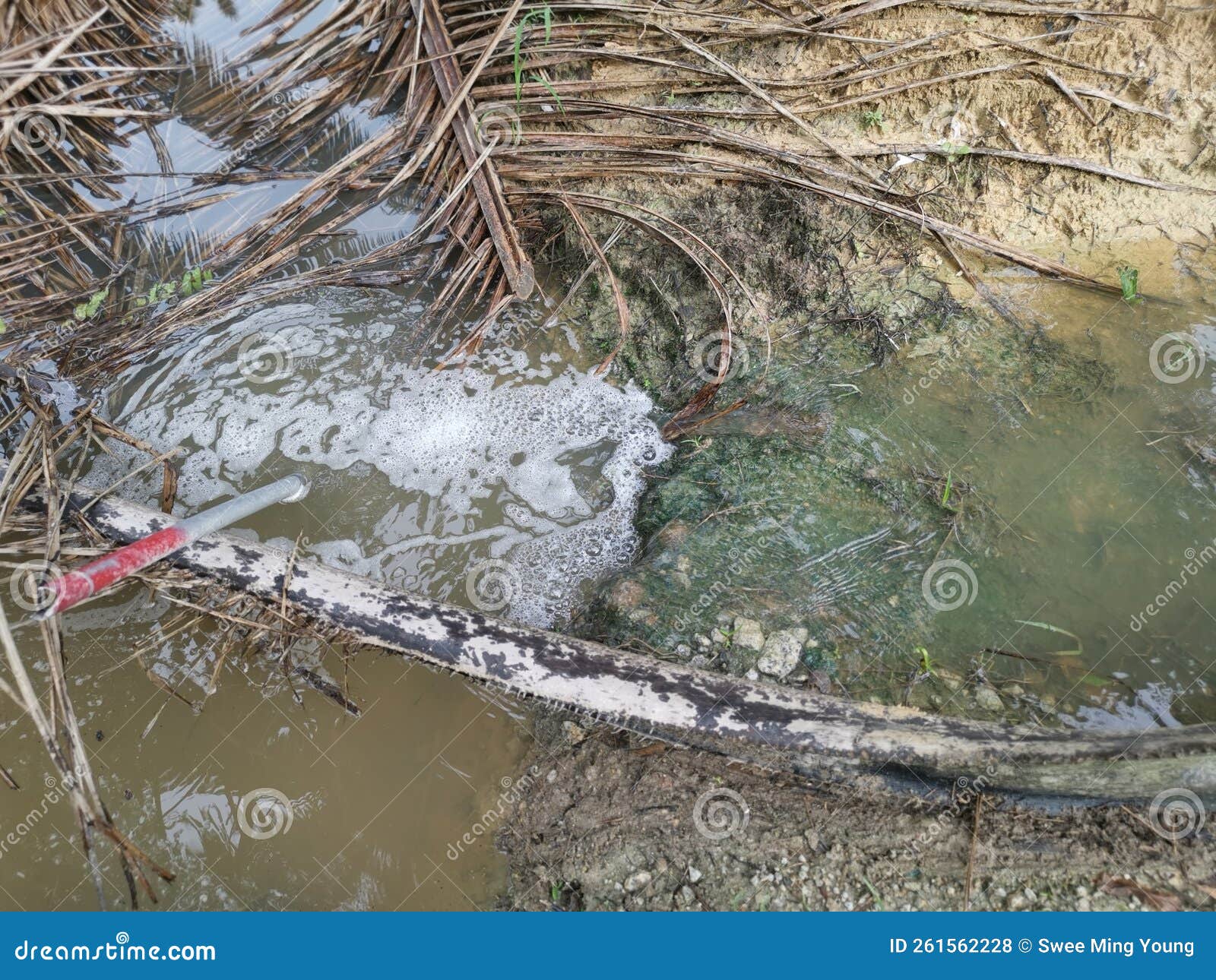 Rain Water Streaming Along the Drainage River. Stock Photo - Image of ...