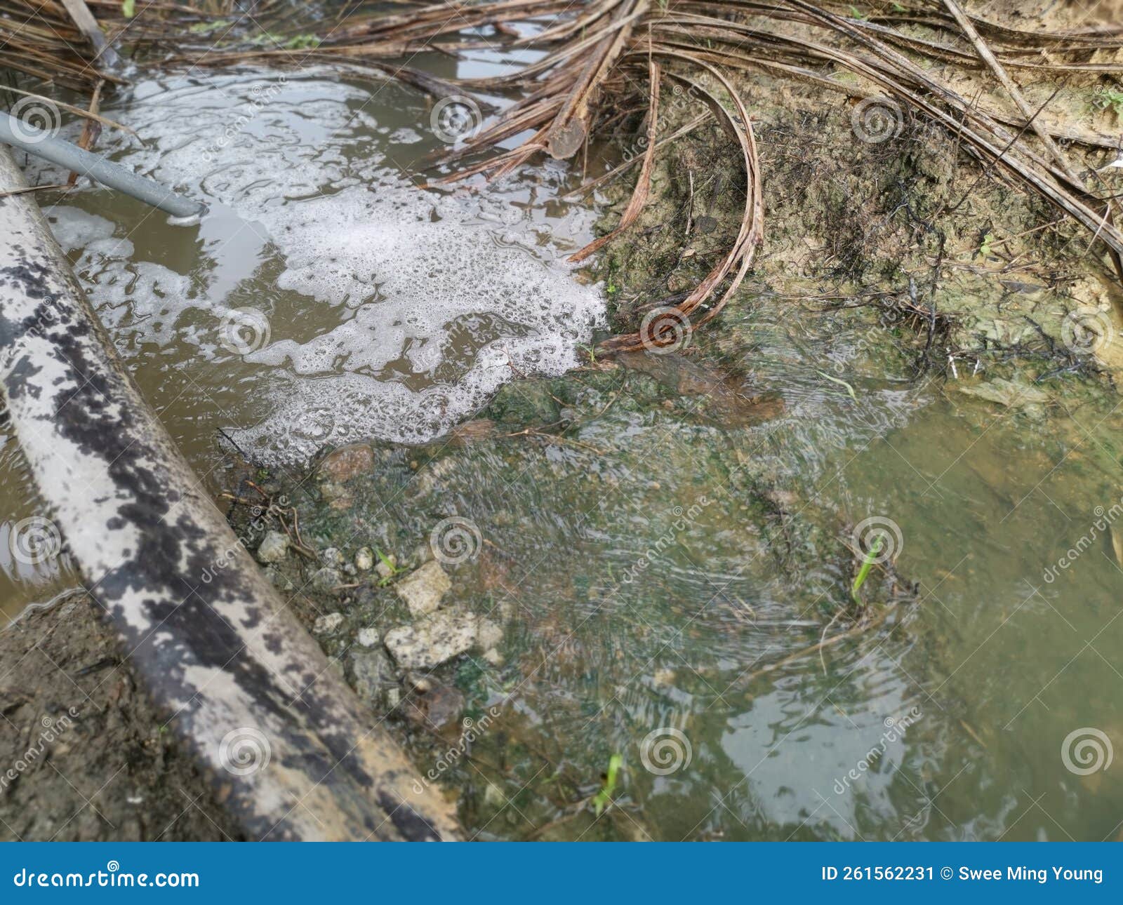 Rain Water Streaming Along the Drainage River. Stock Image - Image of ...