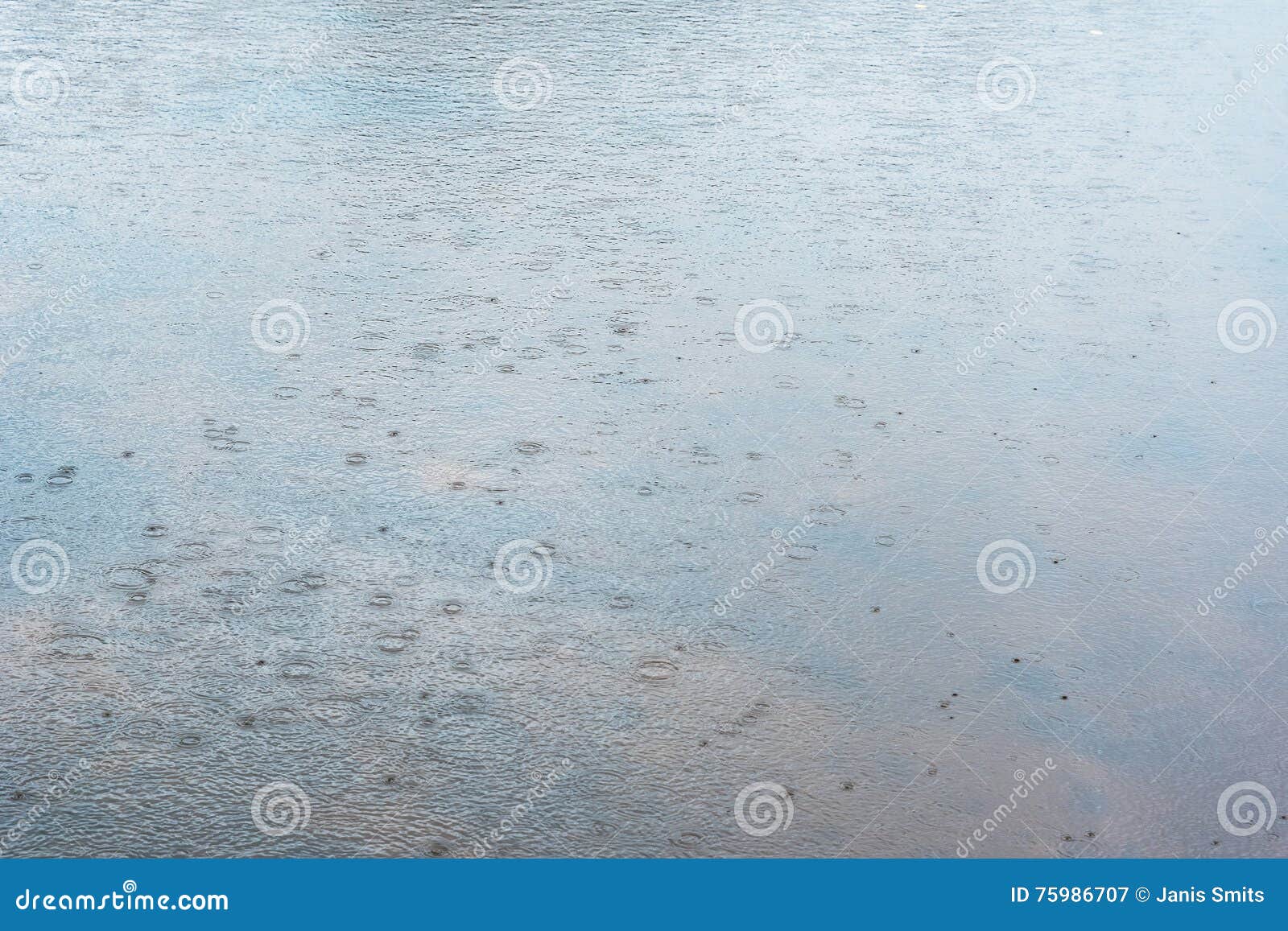 Rain on water surface. stock image. Image of outdoor - 75986707