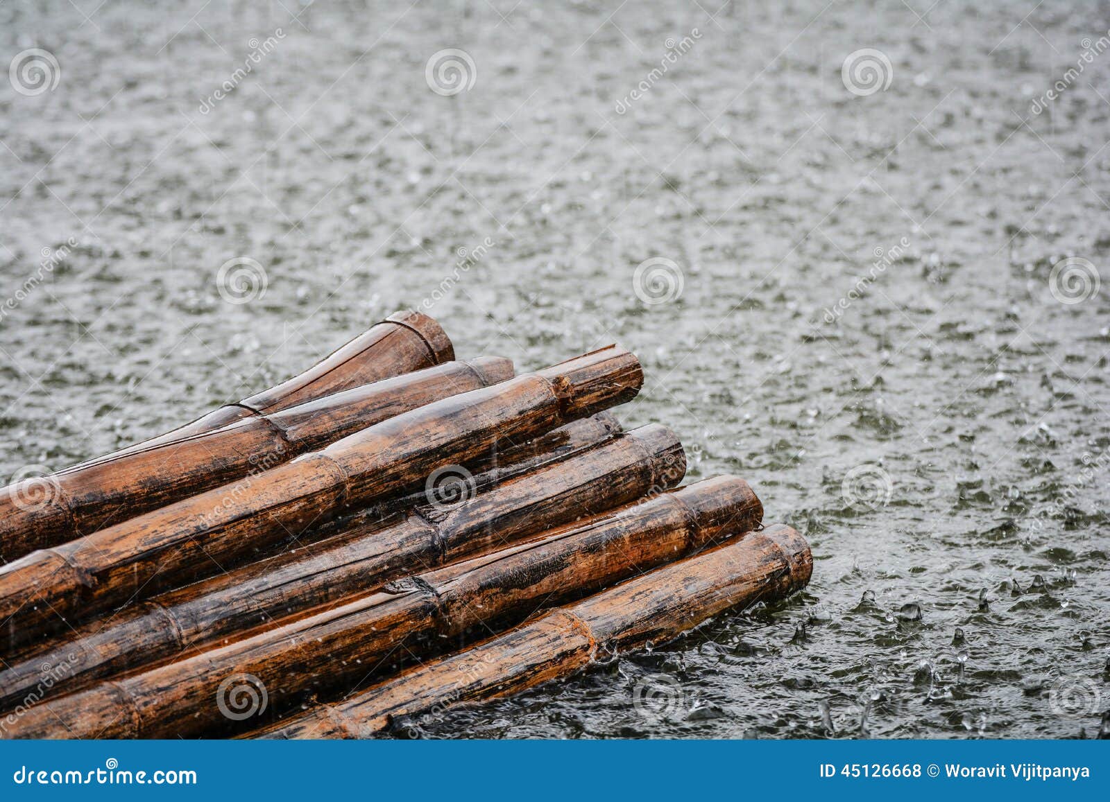 Rain Water Texture and Bamboo Stock Photo - Image of rain, pavement ...