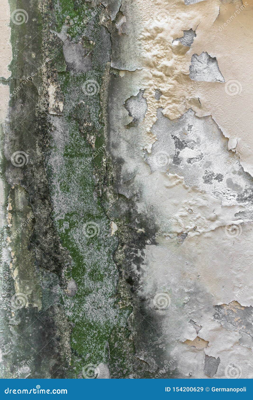 Mold and Peeling Paint on Wall Stock Image - Image of damage, damp ...