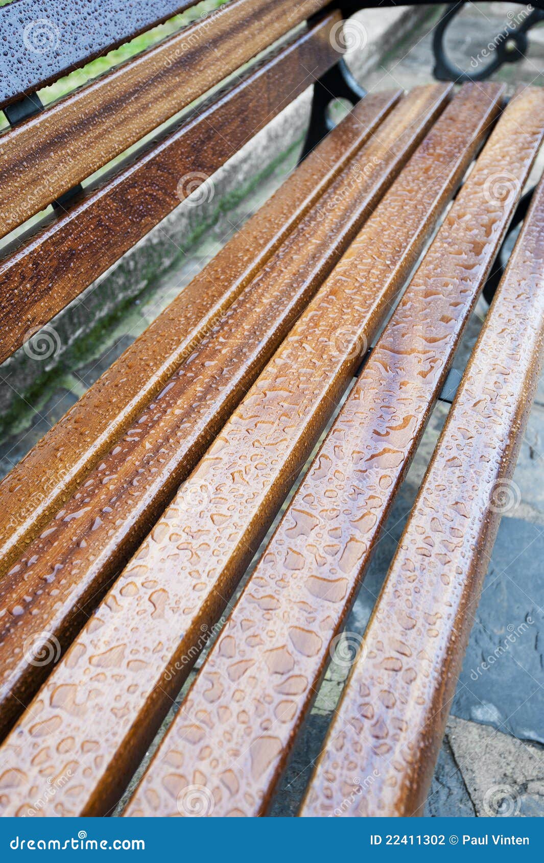 Rain Water on a Wooden Bench Stock Photo - Image of wooden, drop: 22411302