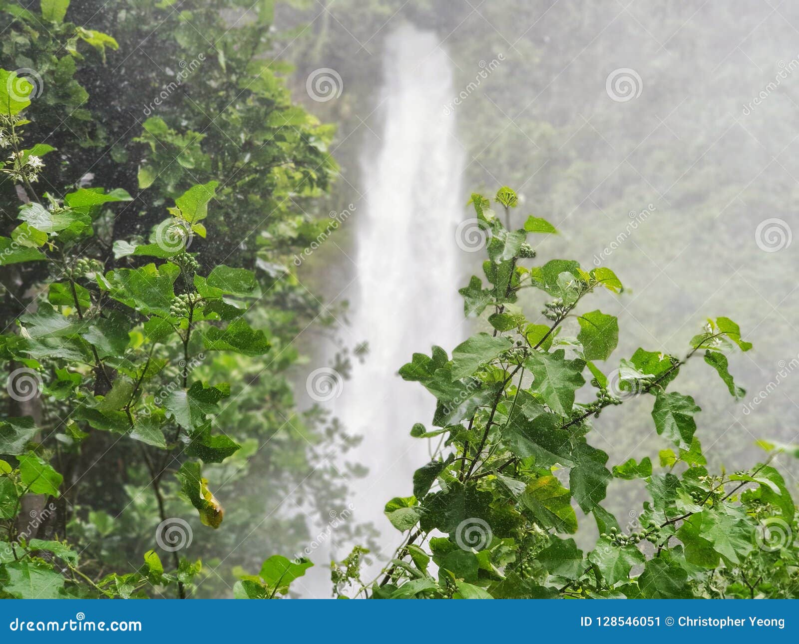 Rain and waterfall stock image. Image of polynesia, french - 128546051